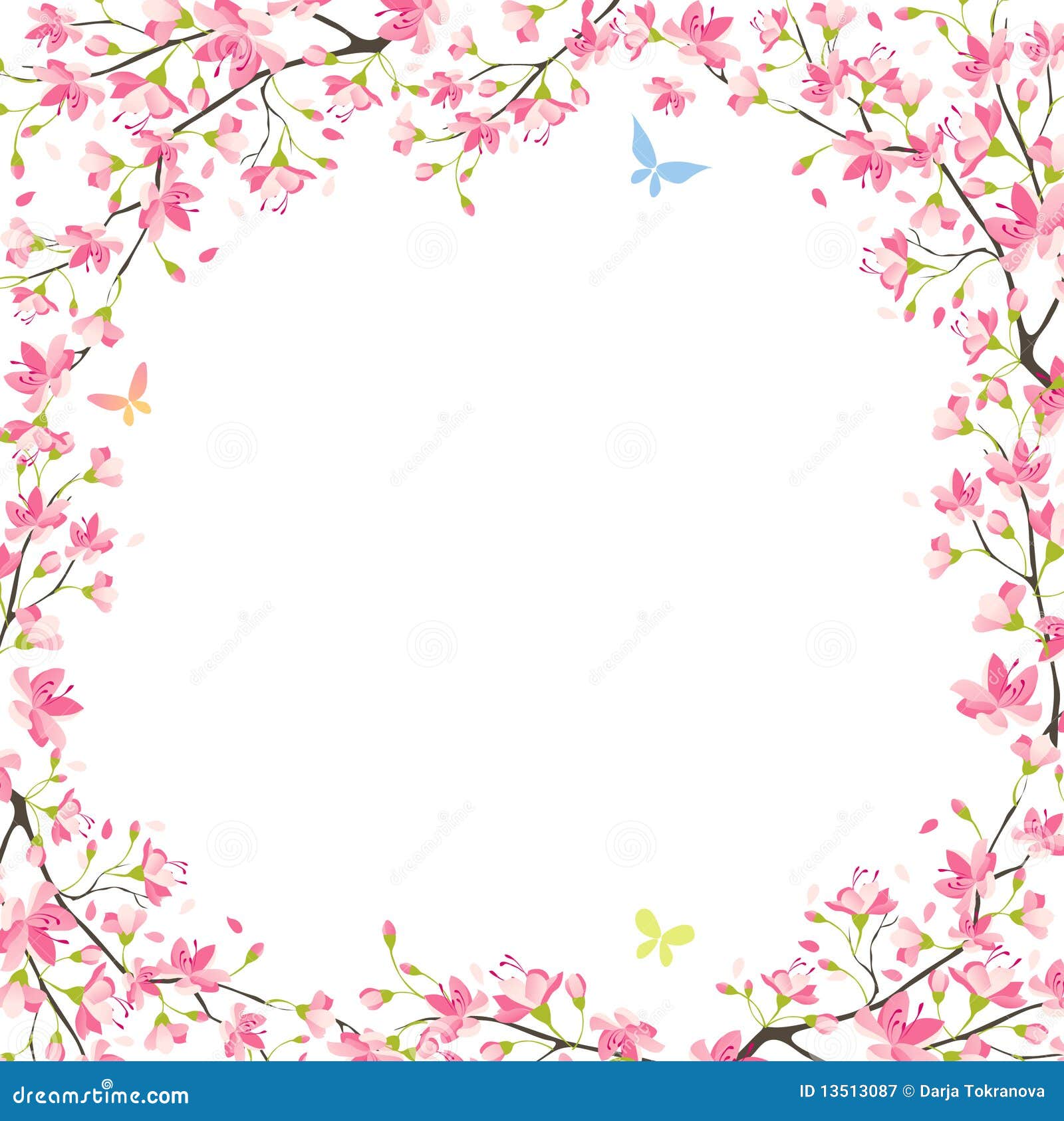 Frame de Sakura ilustração do vetor. Ilustração de pétalas - 13513087