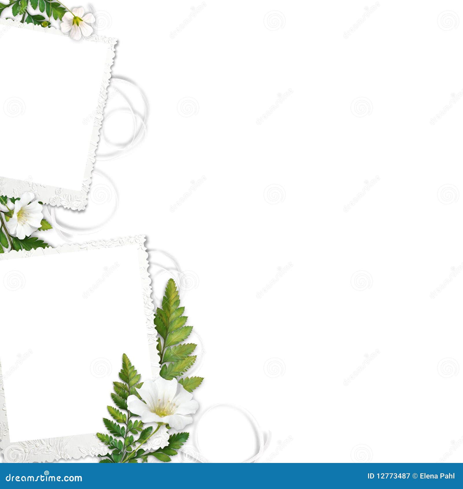 Frame with Delicate Flowers Stock Illustration - Illustration of flower ...