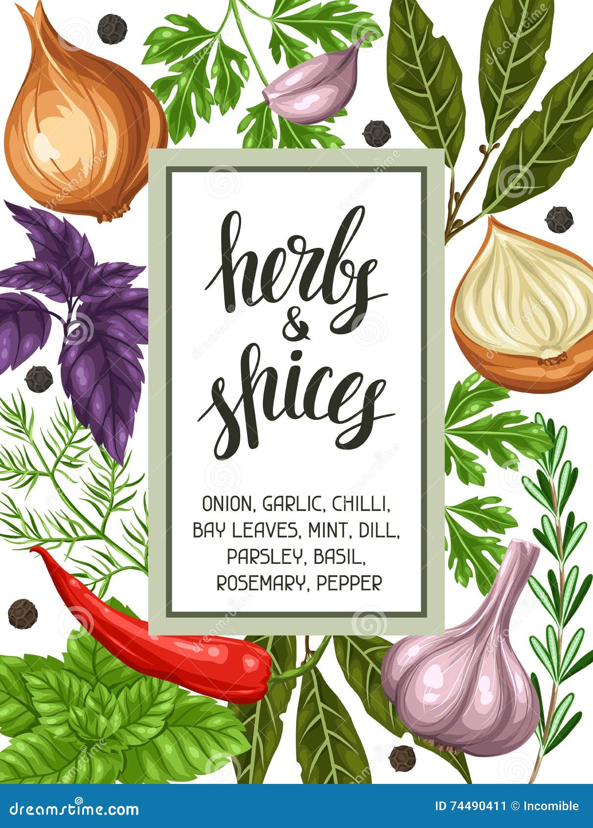 Frame Design with Various Herbs and Spices Stock Vector - Illustration ...