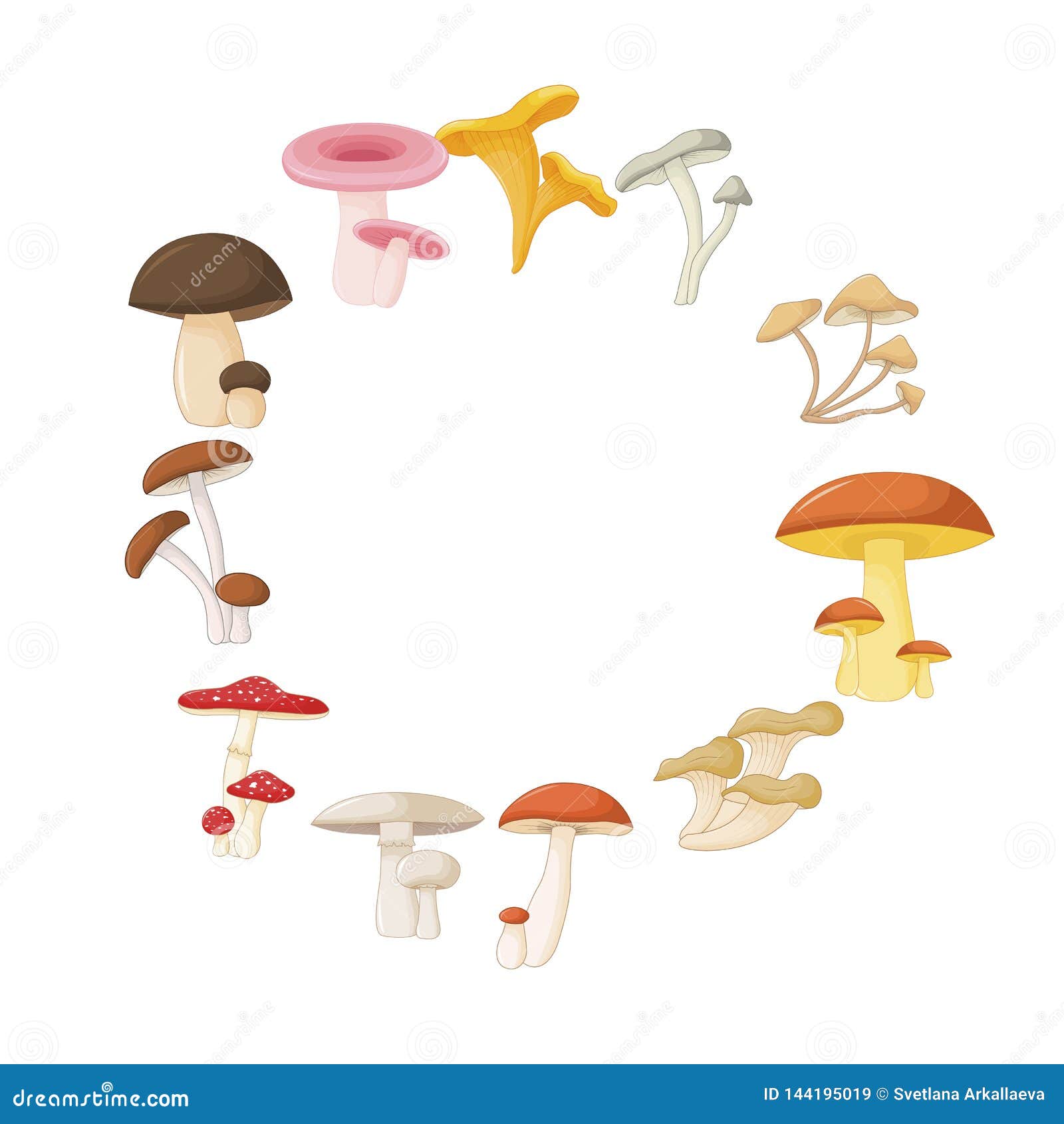 Frame Of Different Mushrooms, Vector Graphics. Beautiful Frames Stock ...