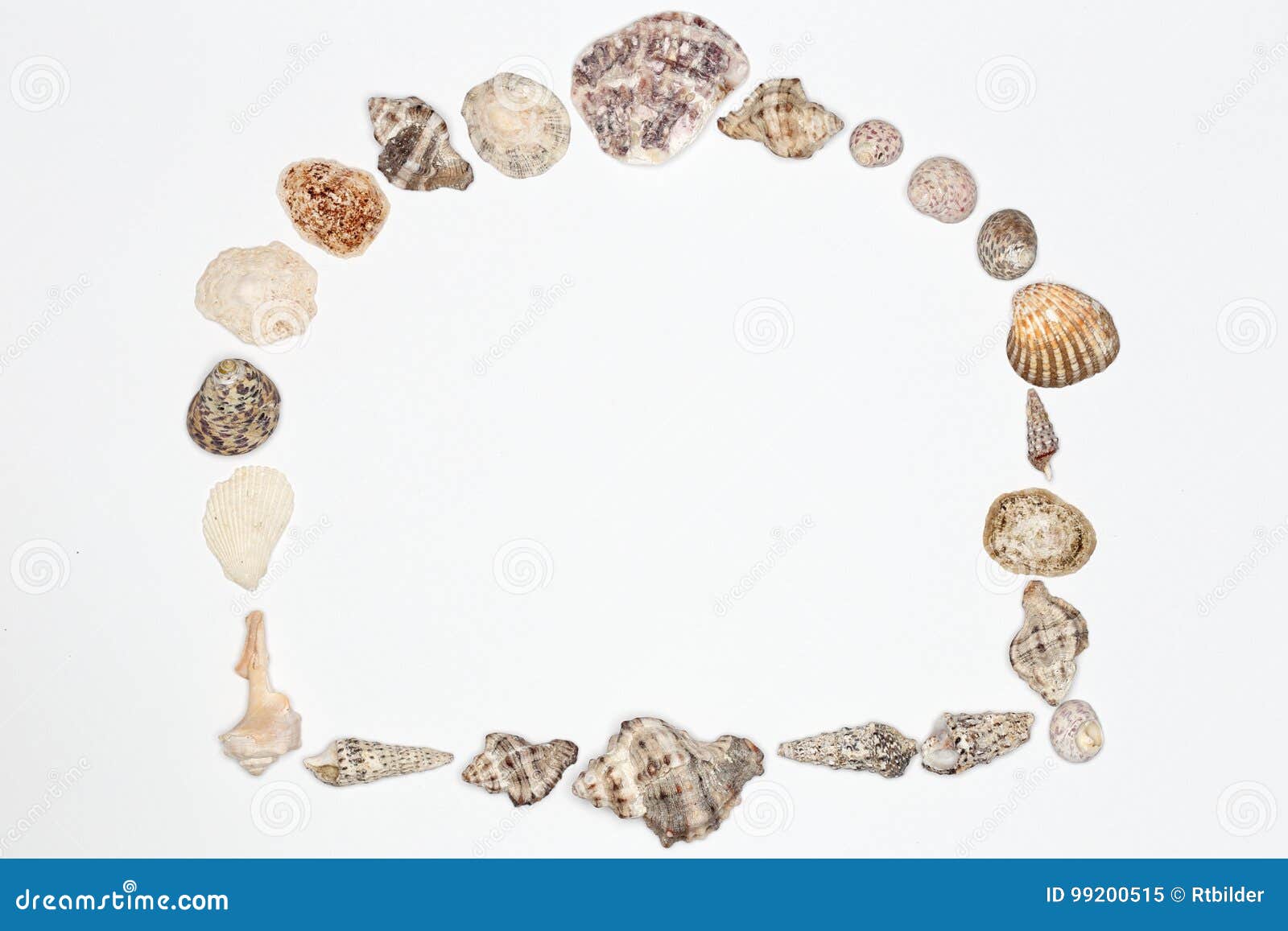 A Frame with Different Mussels Stock Image - Image of seafood, empty ...