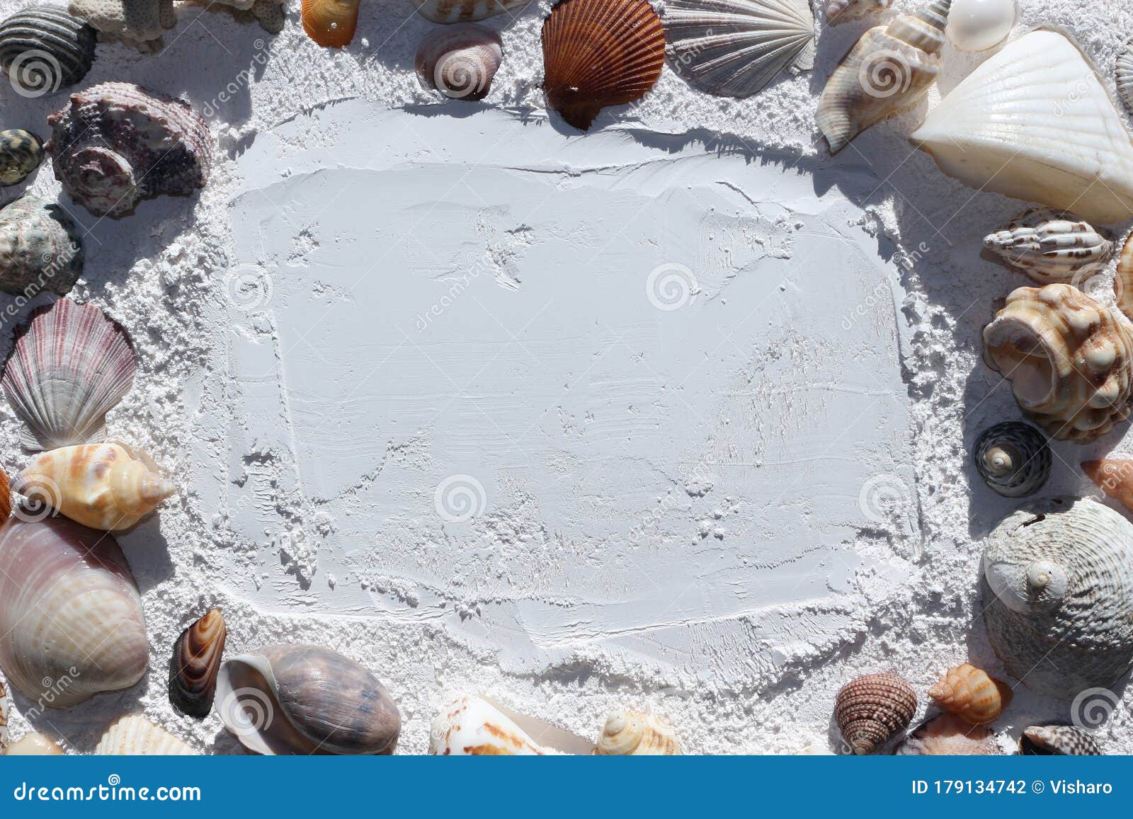 Sea Shells Frame stock photo. Image of coral, beach - 179134742