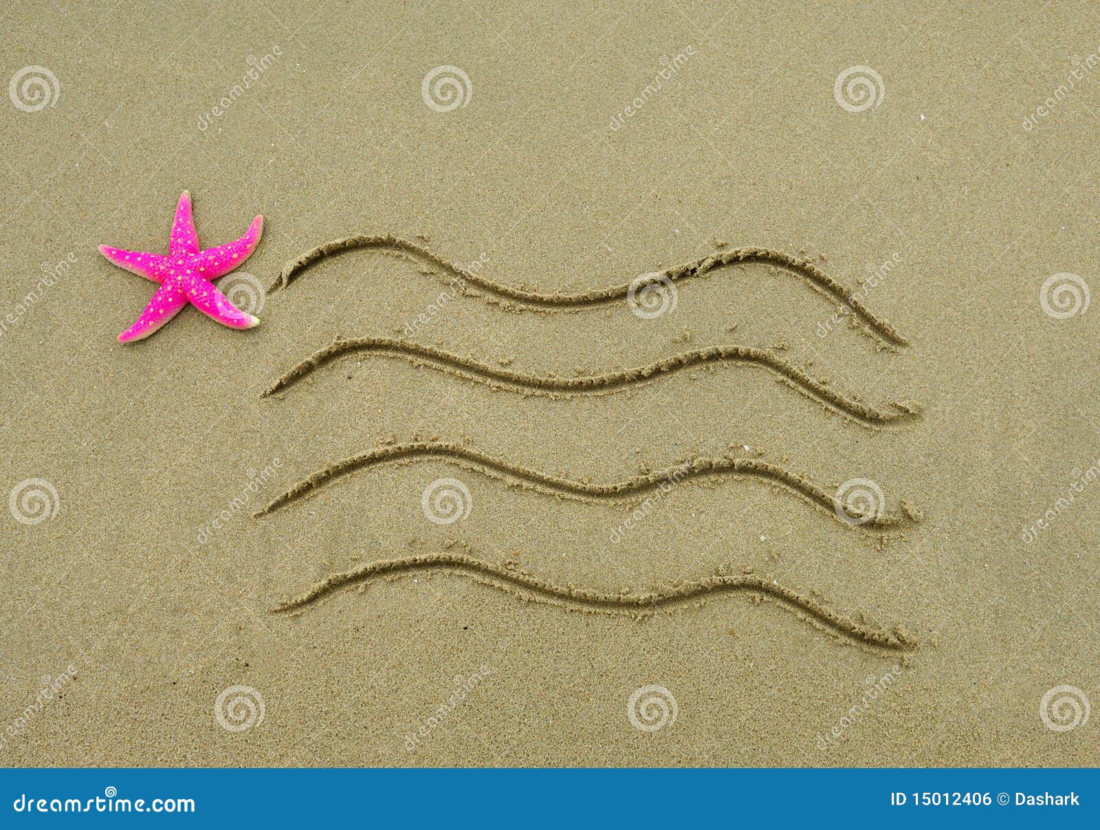 Frame Do Mar Com Starfishes Foto de Stock - Imagem de marrom, feriado ...