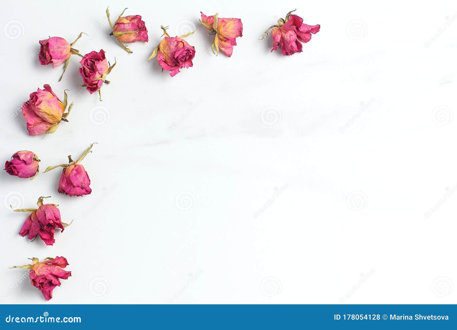Frame from Dry Roses on a Marble Background. Stock Photo - Image of ...
