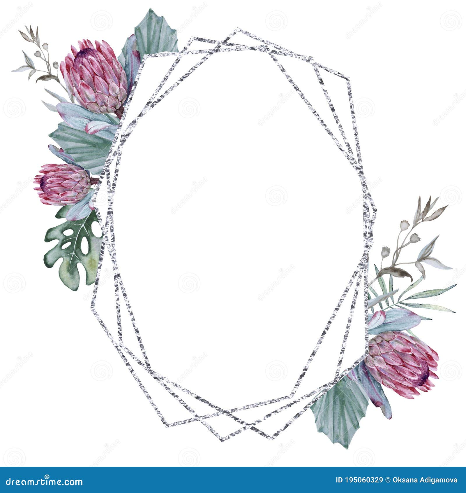 Frame With Elements Of Australian Nature. Isolated On A White ...