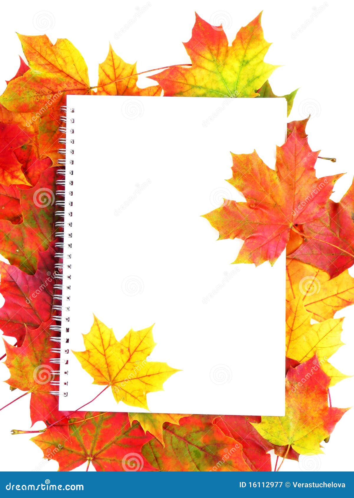 Frame from fall leaves stock image. Image of decoration - 16112977