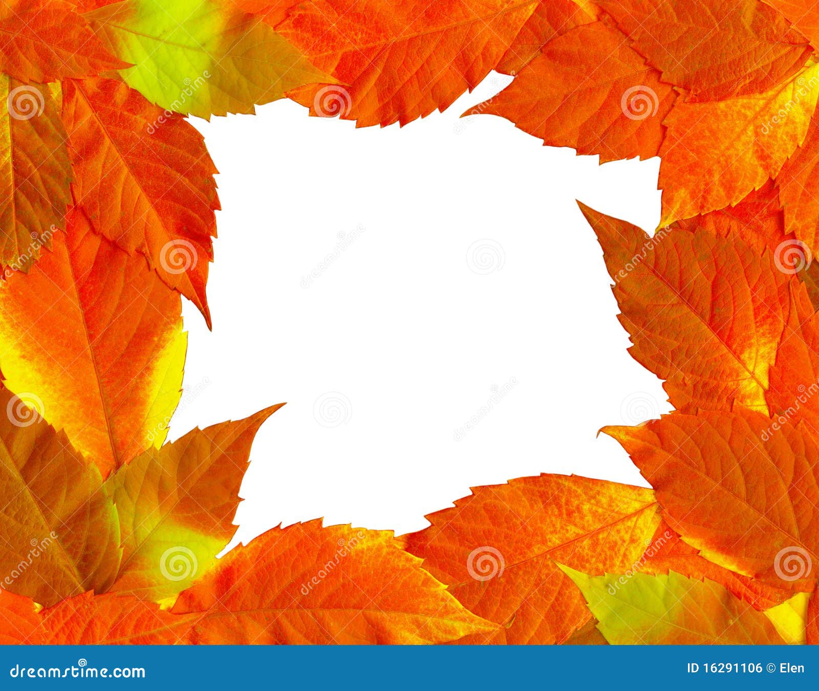 Frame of fall leaves stock photo. Image of autumn, frame - 16291106