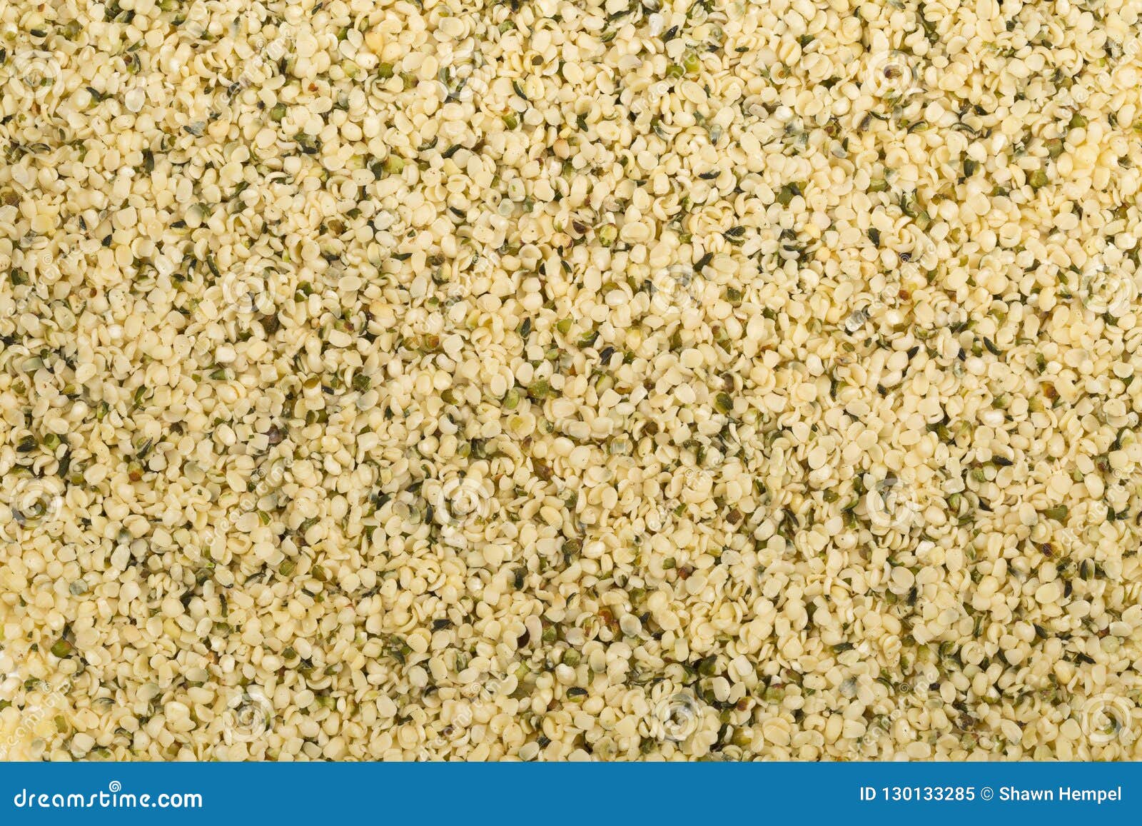 Frame Filling Background Texture Of Raw Organic Hemp Seeds Stock Image Image Of Healthy
