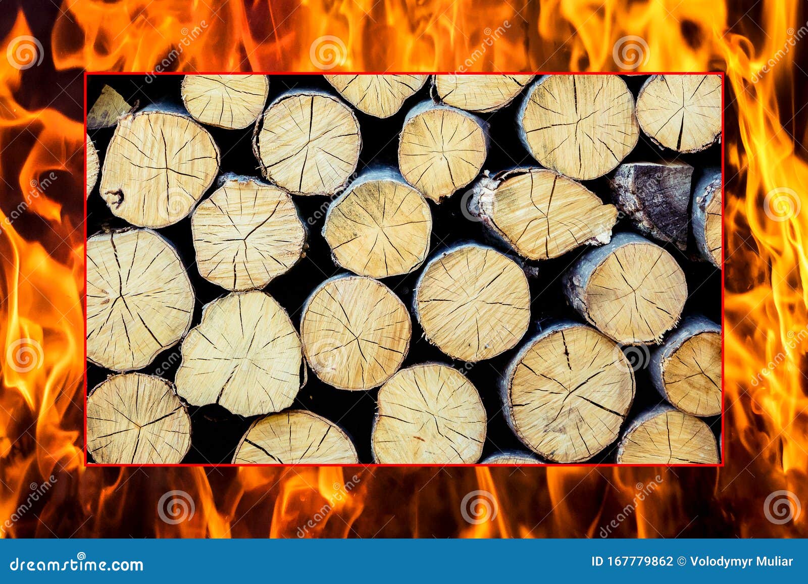 Frame of Fire and Logs Tree Inside for Design_ Stock Photo - Image of ...