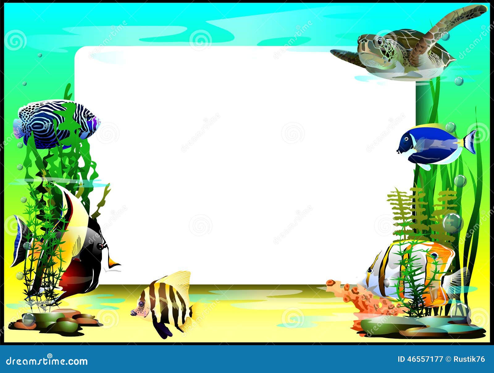 Kid Frame - Turtle Cartoon Vector | CartoonDealer.com #17218087