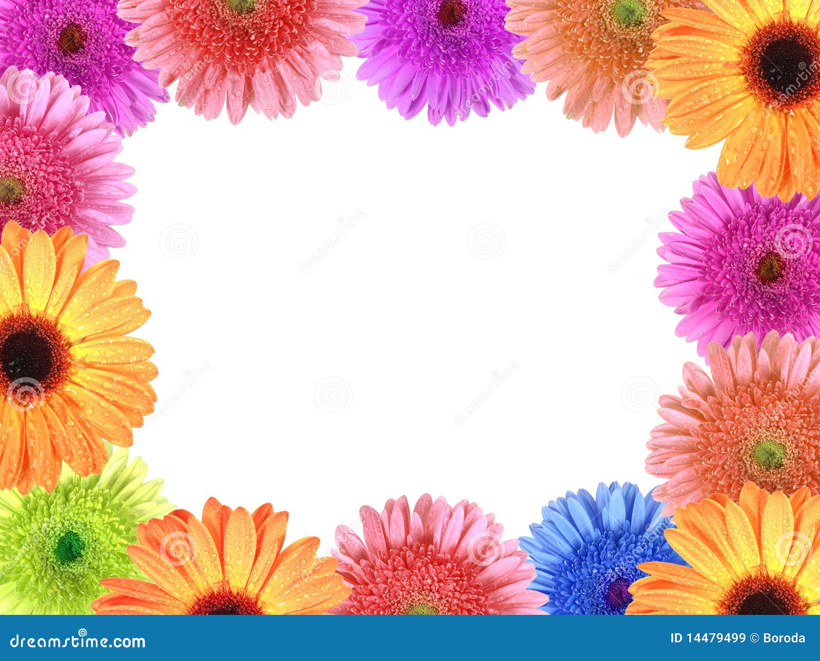 Frame with flowers stock image. Image of orange, herbera - 14479499