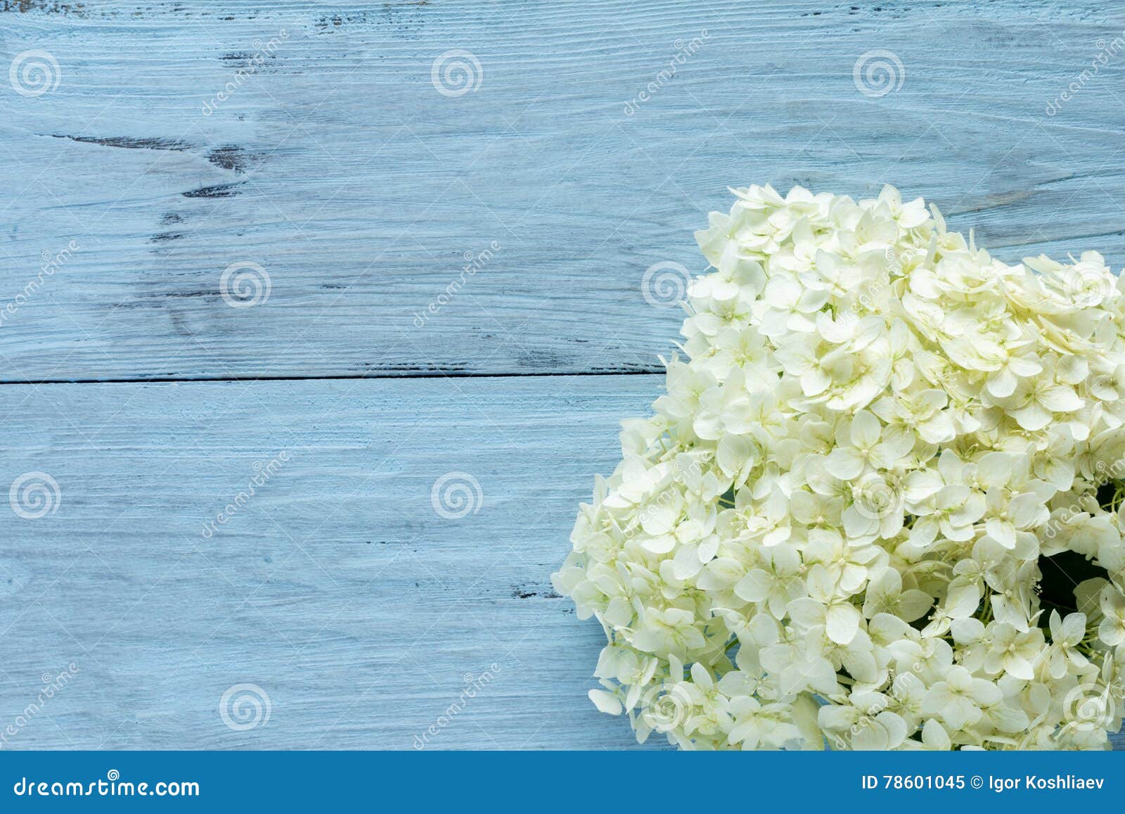 Frame of Flowers, Background Blue Boards Stock Image - Image of blue ...