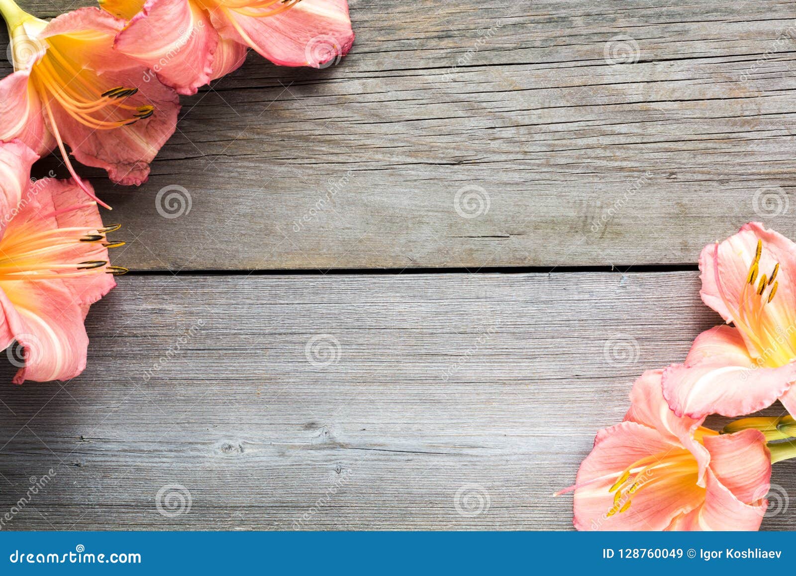 Frame of Flowers, Background White Boards Stock Image - Image of flower ...