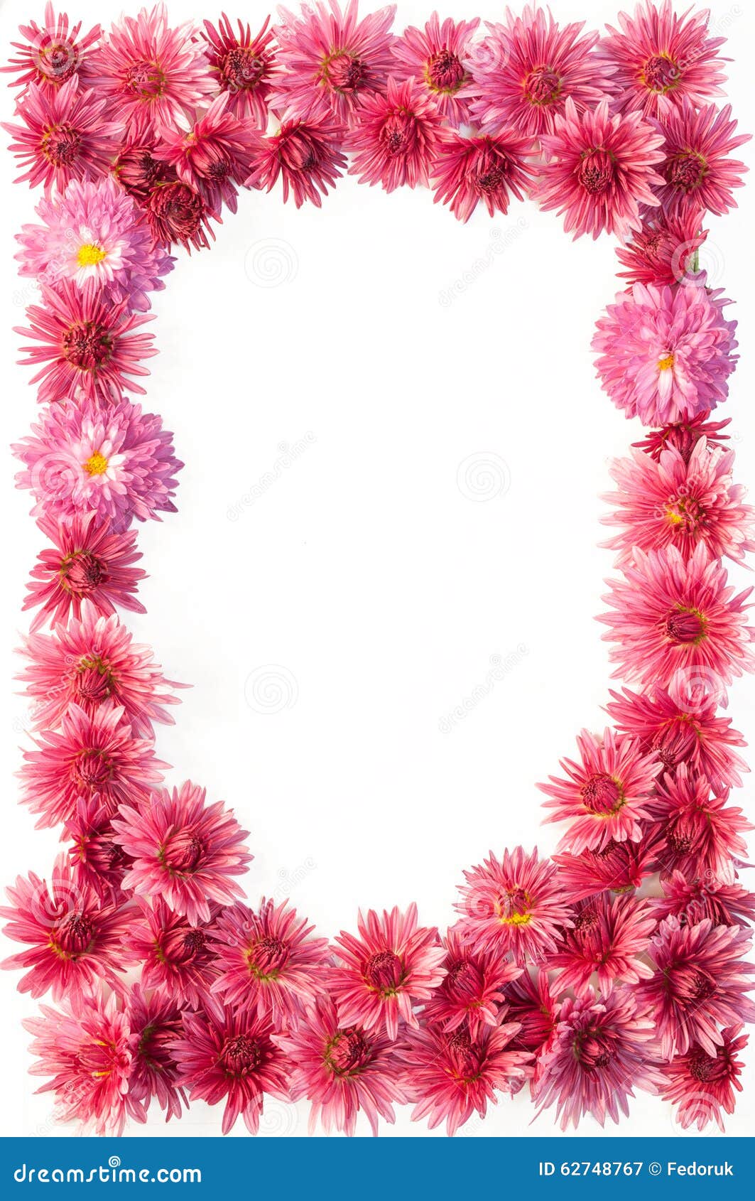 Frame of flowers stock image. Image of blossom, celebration - 62748767