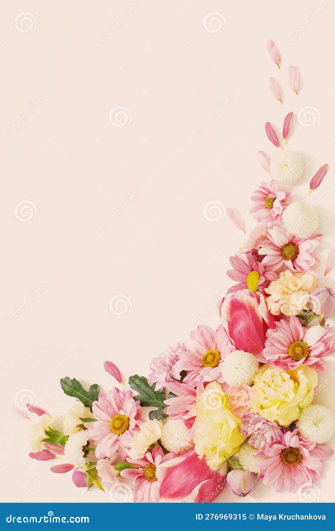 Frame of Flowers on White Background Stock Image - Image of decoration ...