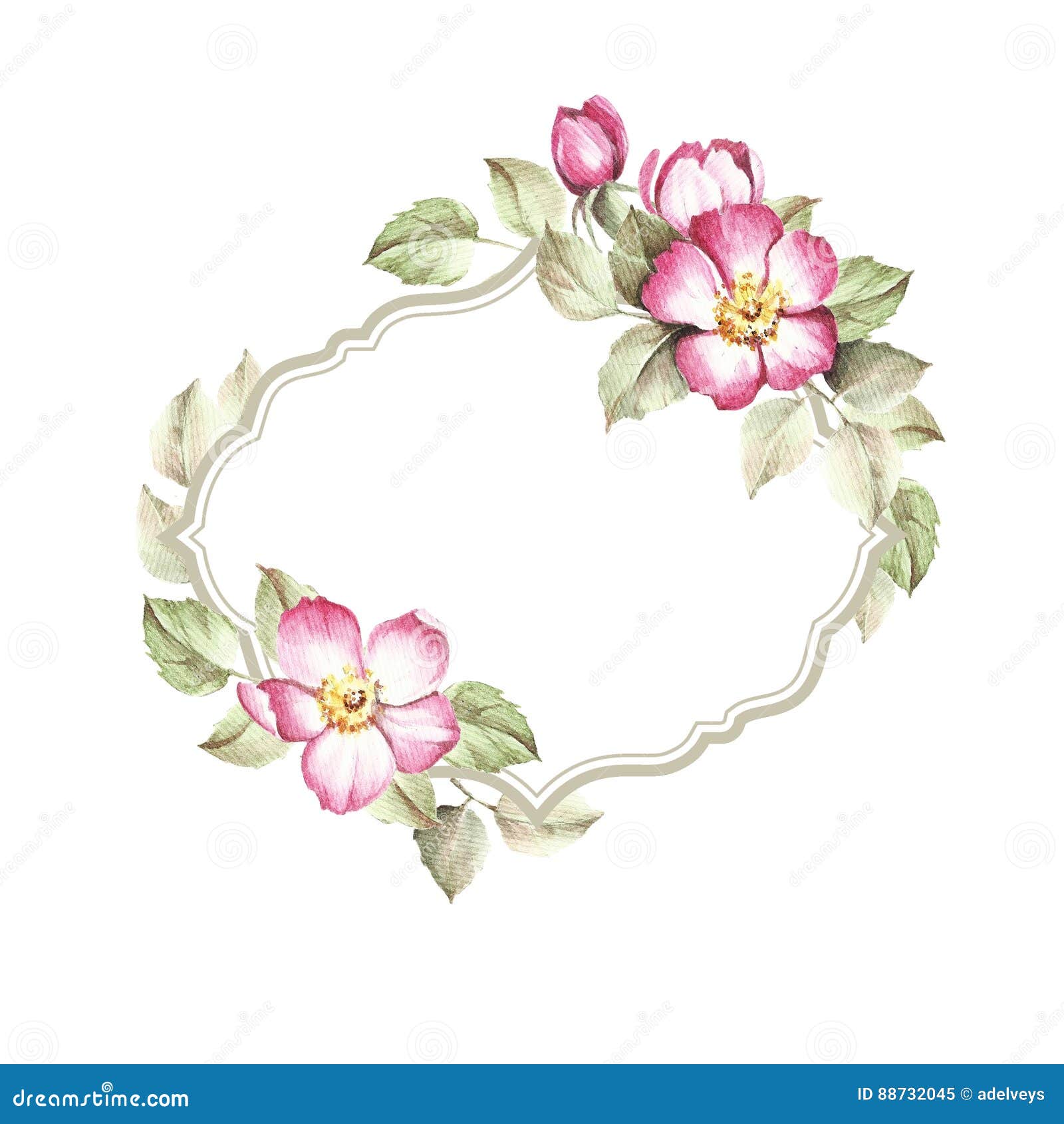 Frame with Flowers of Wild Rose. Watercolor Illustration Stock ...