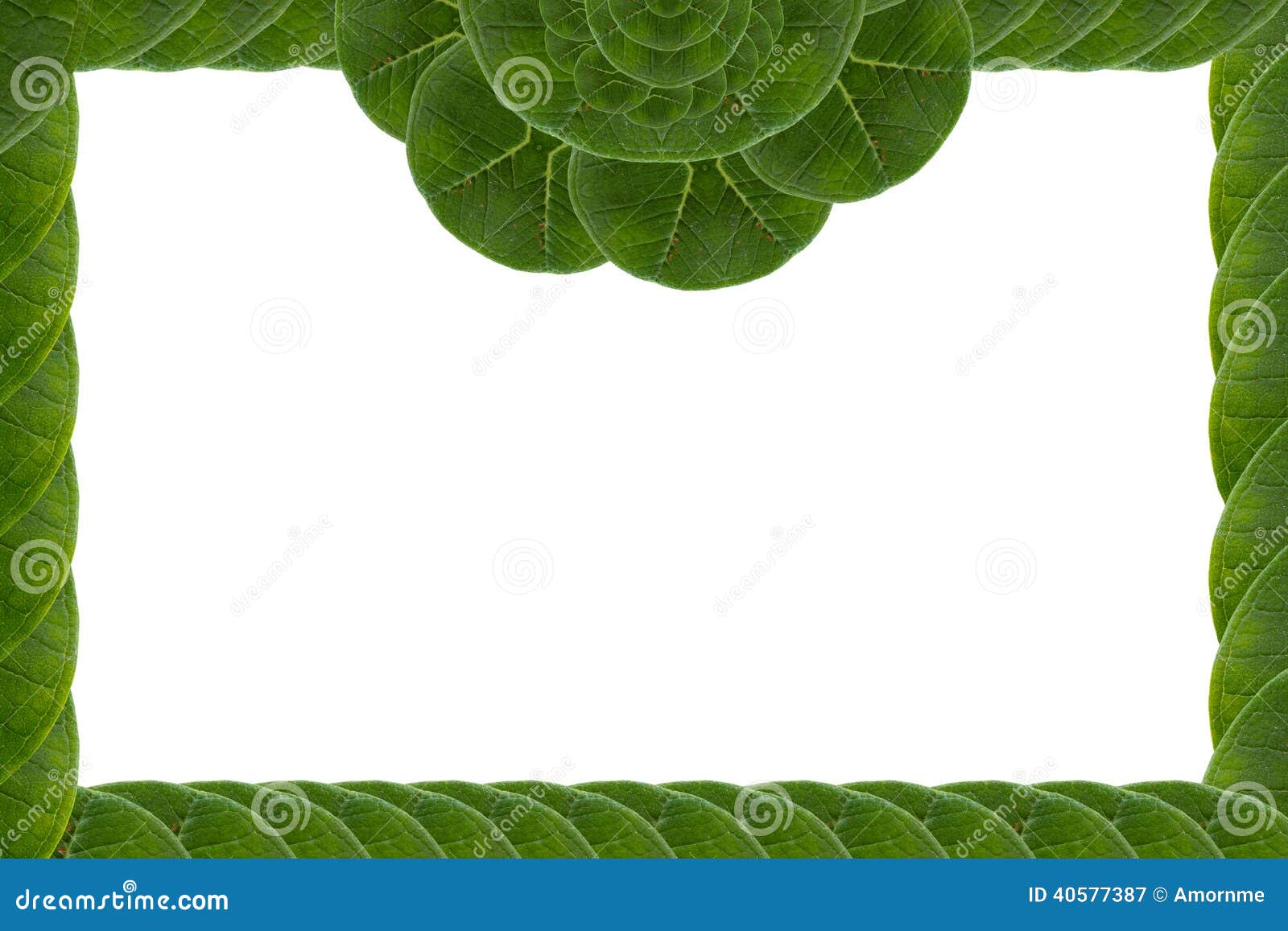Frame Form Leaf. Royalty-Free Stock Photography | CartoonDealer.com ...