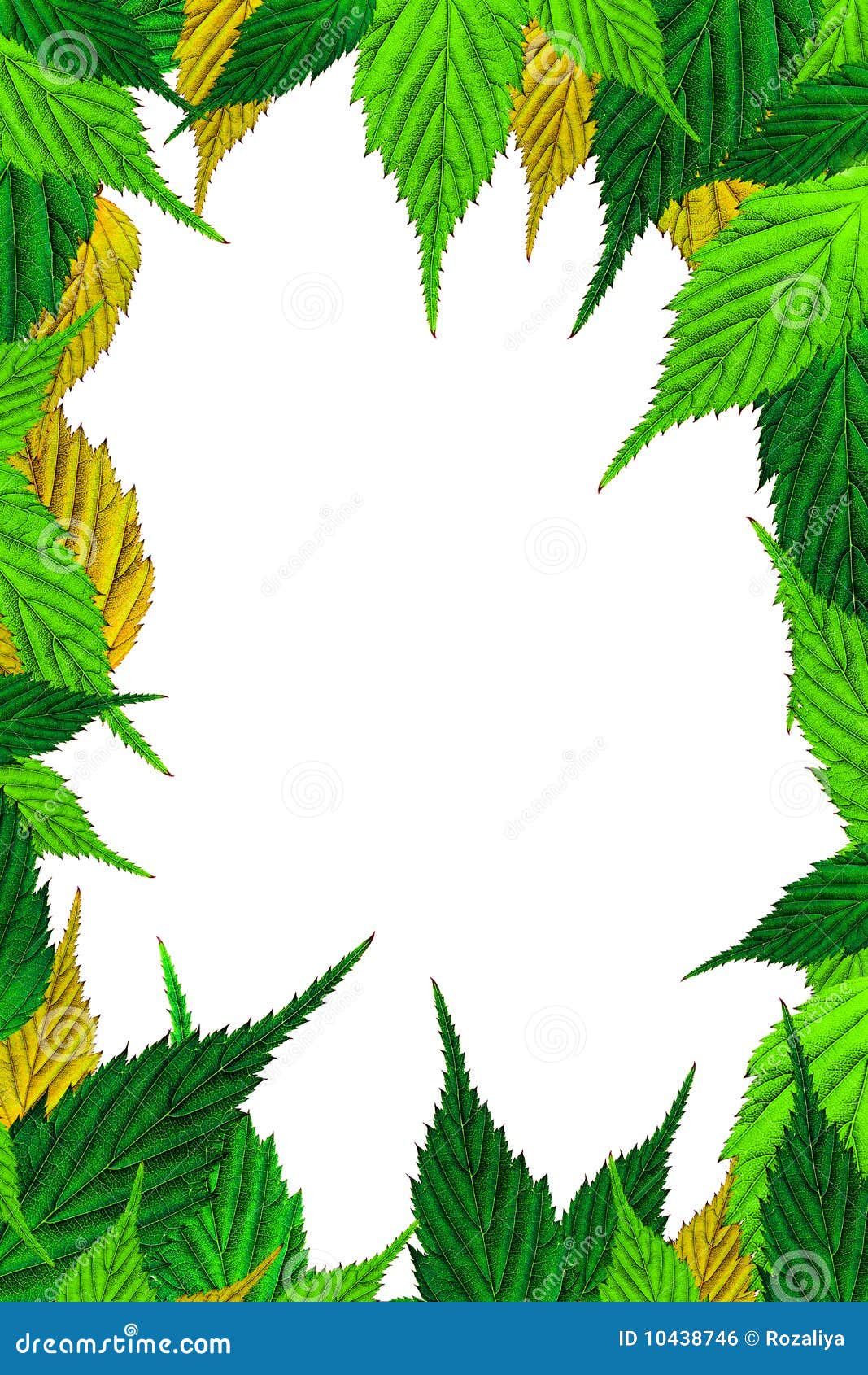 Frame with Fresh Leaves Border Stock Illustration - Illustration of ...