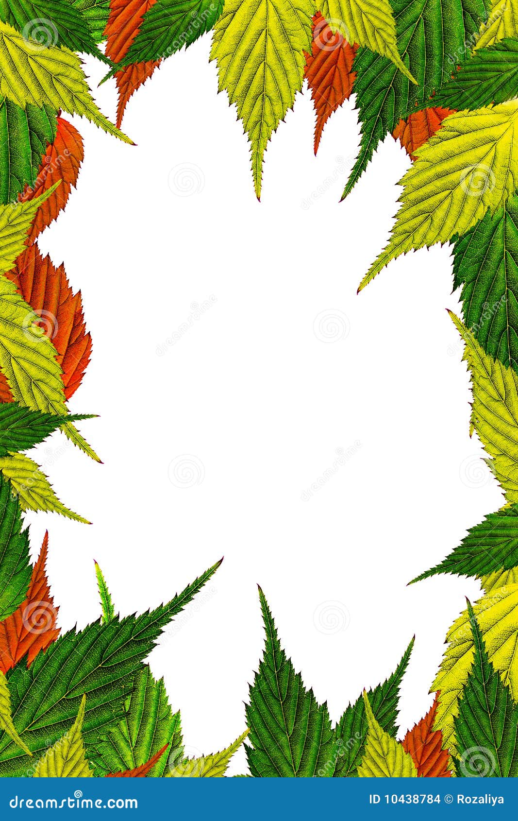 Frame with Fresh Leaves Border Stock Illustration - Illustration of ...