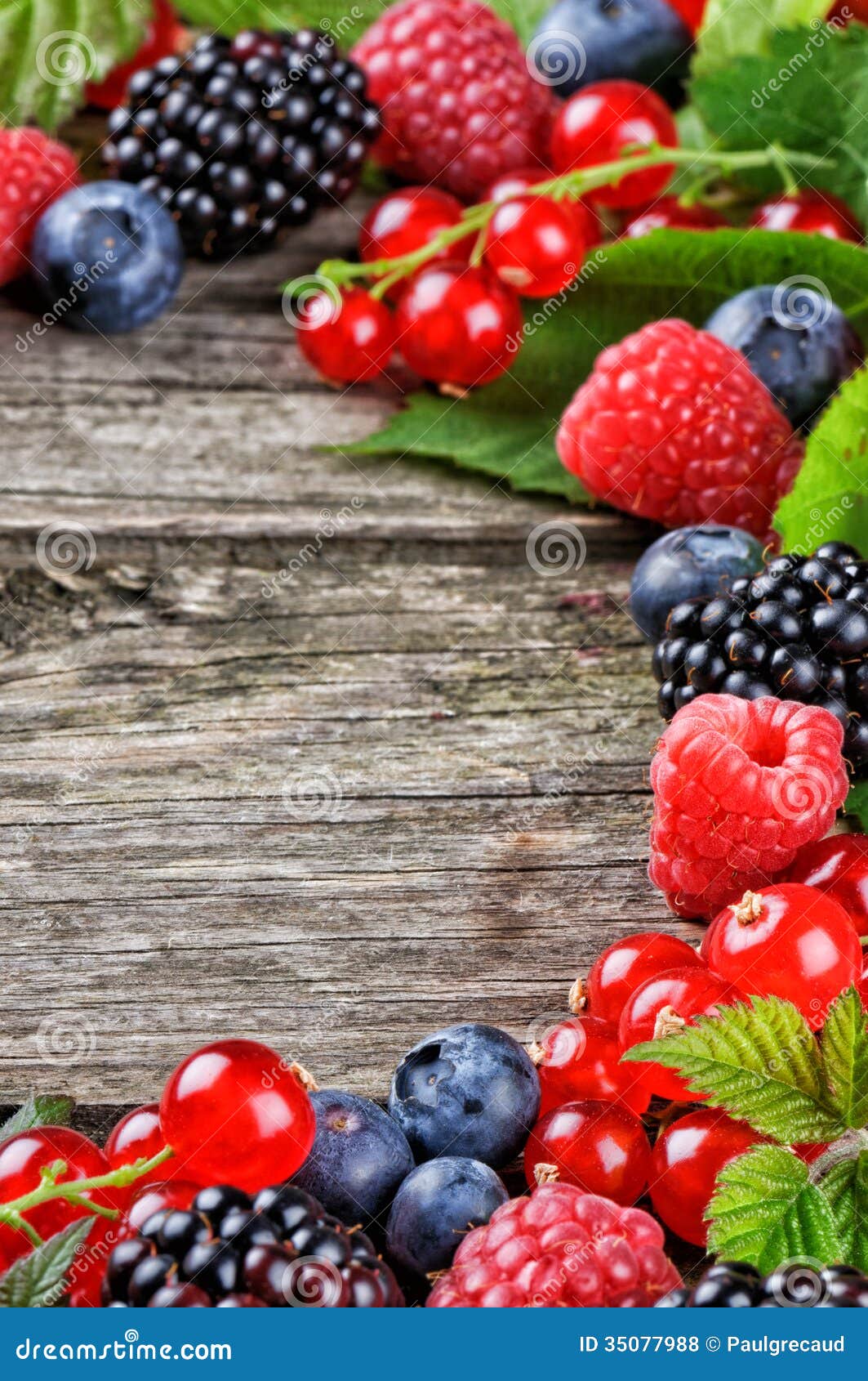 Frame with Fresh Summer Berries Stock Photo - Image of dessert ...