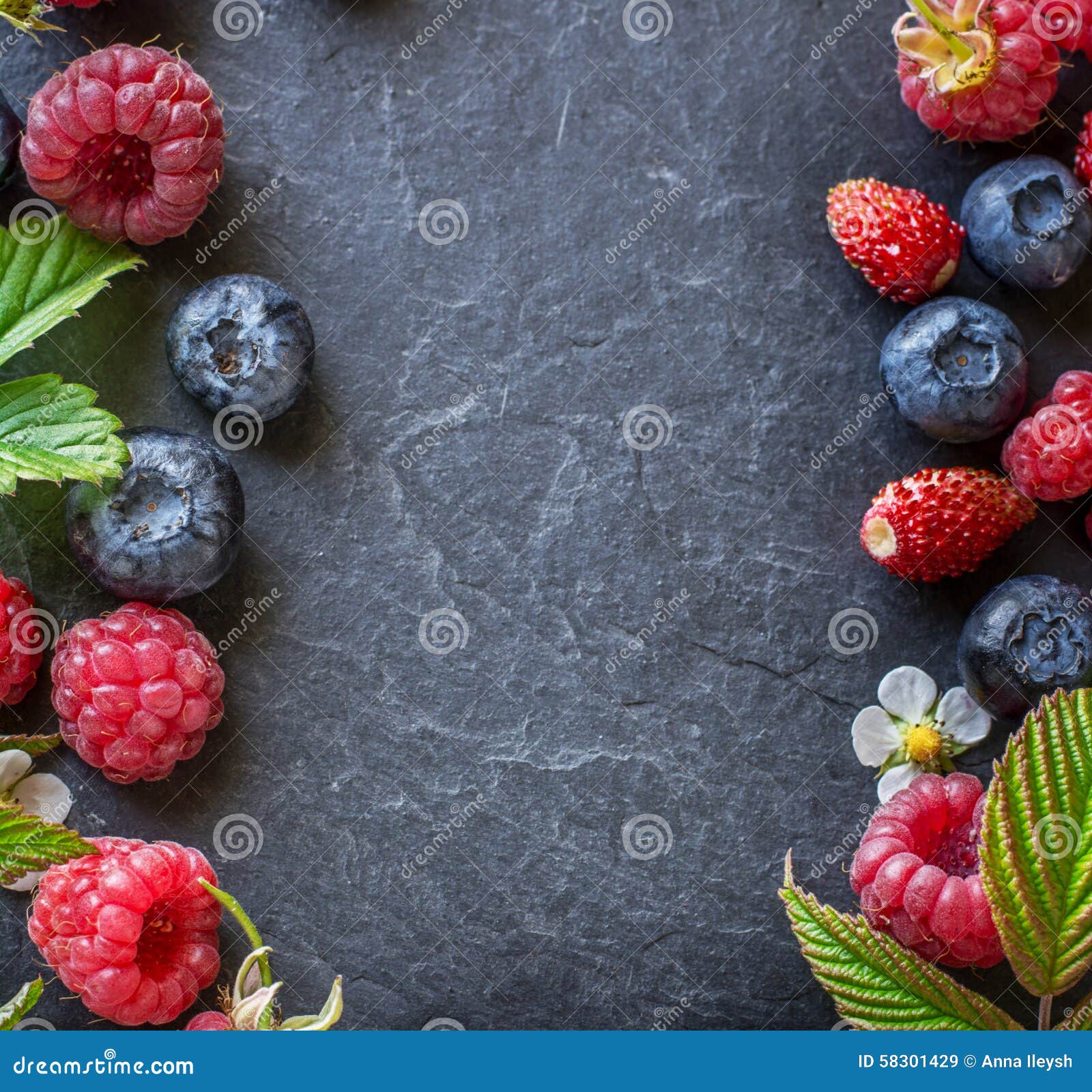 Frame of Fresh Wild Berries with Green Leaves Stock Image - Image of ...