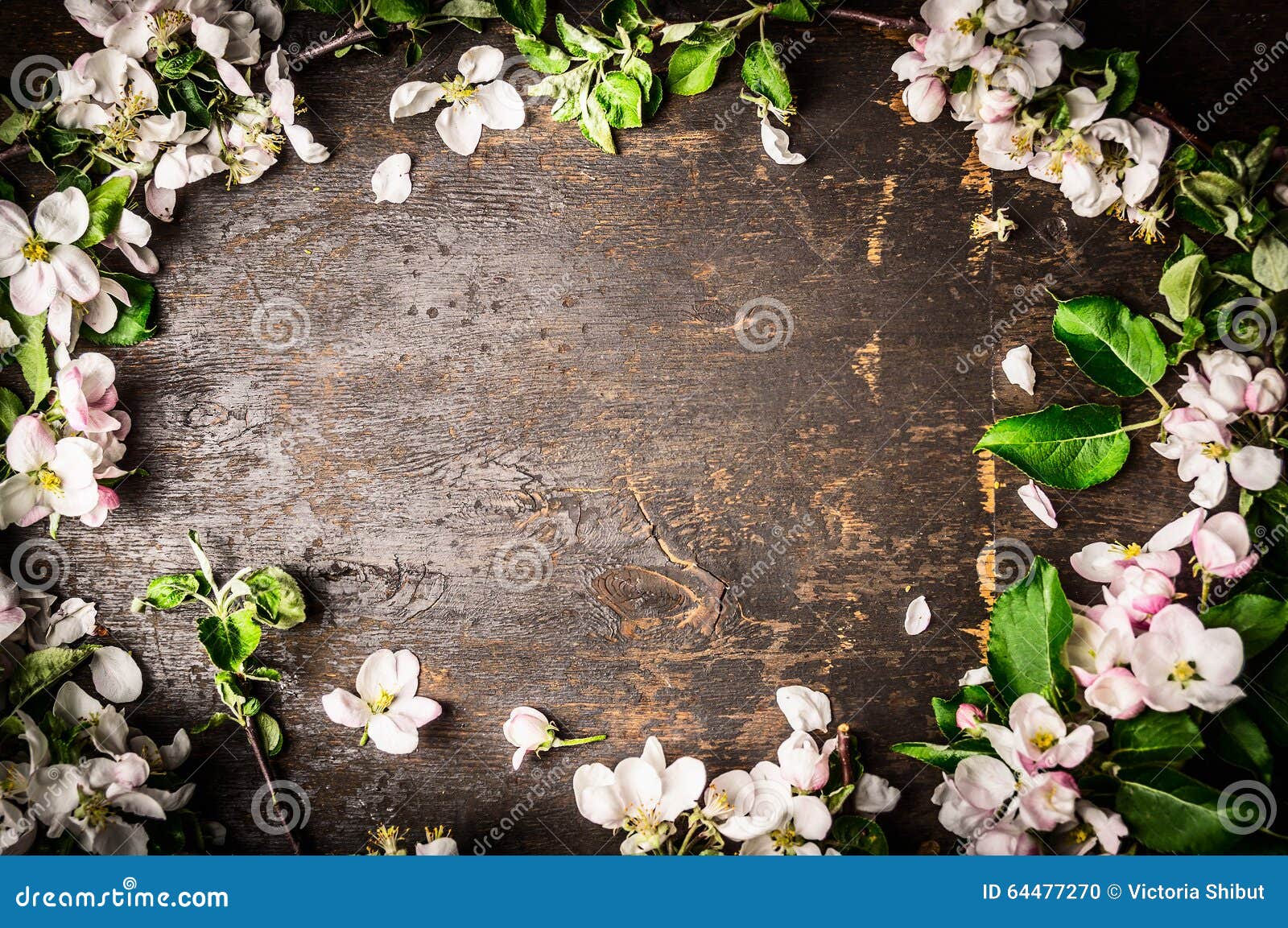 Frame of Fruit Trees Flowers on Rustic Background Stock Photo - Image ...
