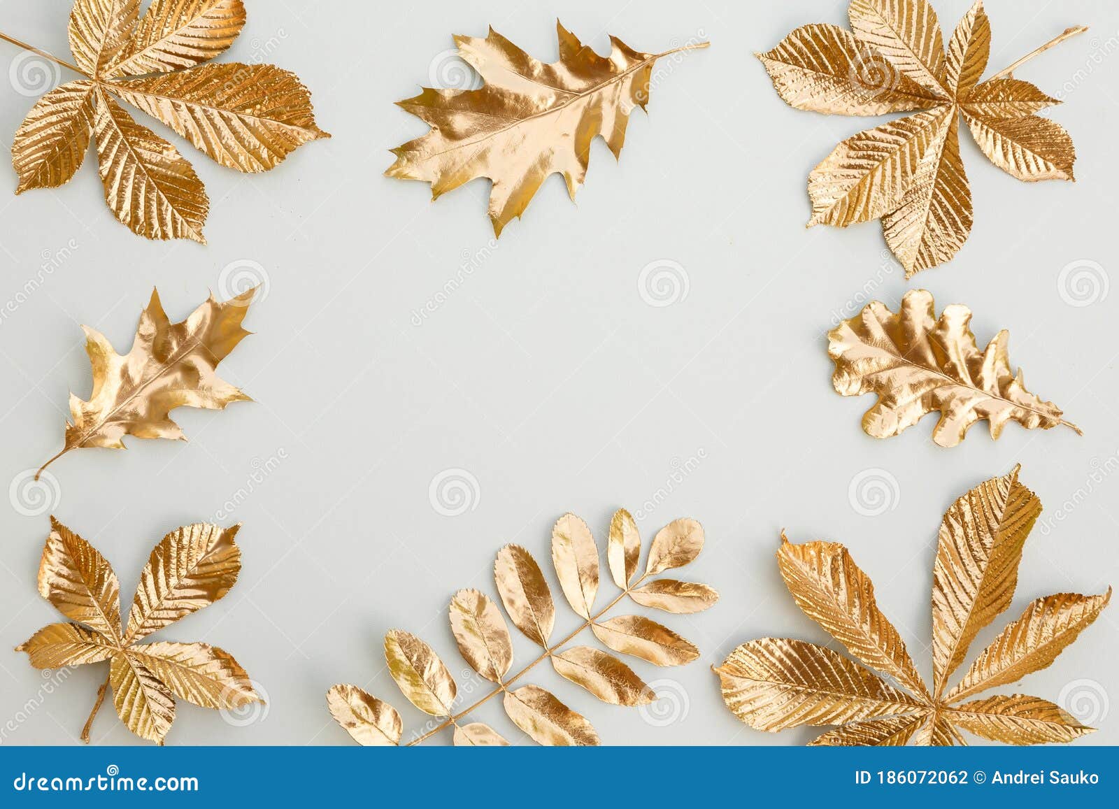 Gold Leaf Design Elements Around the Edge of the Frame. Stock Photo ...