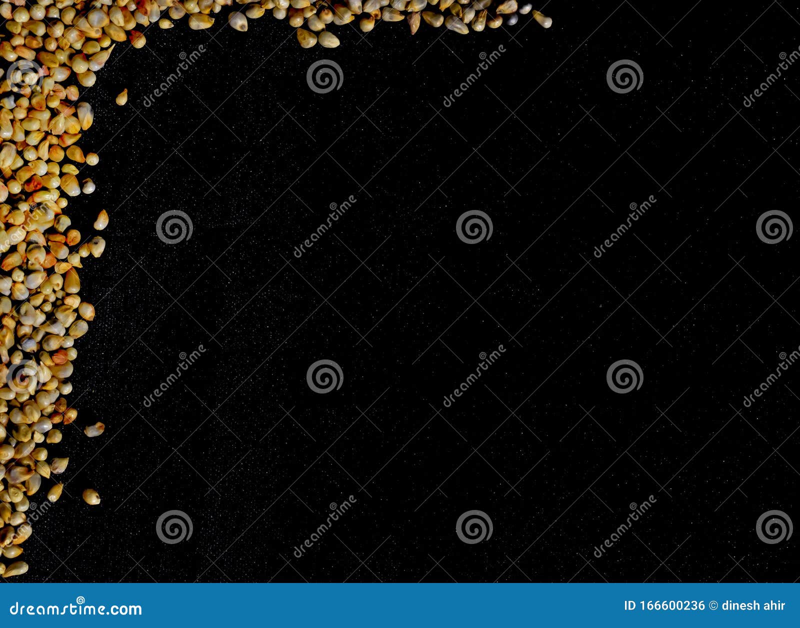 Grain Seeds on Black Background,millets Seeds on Black Background Stock ...