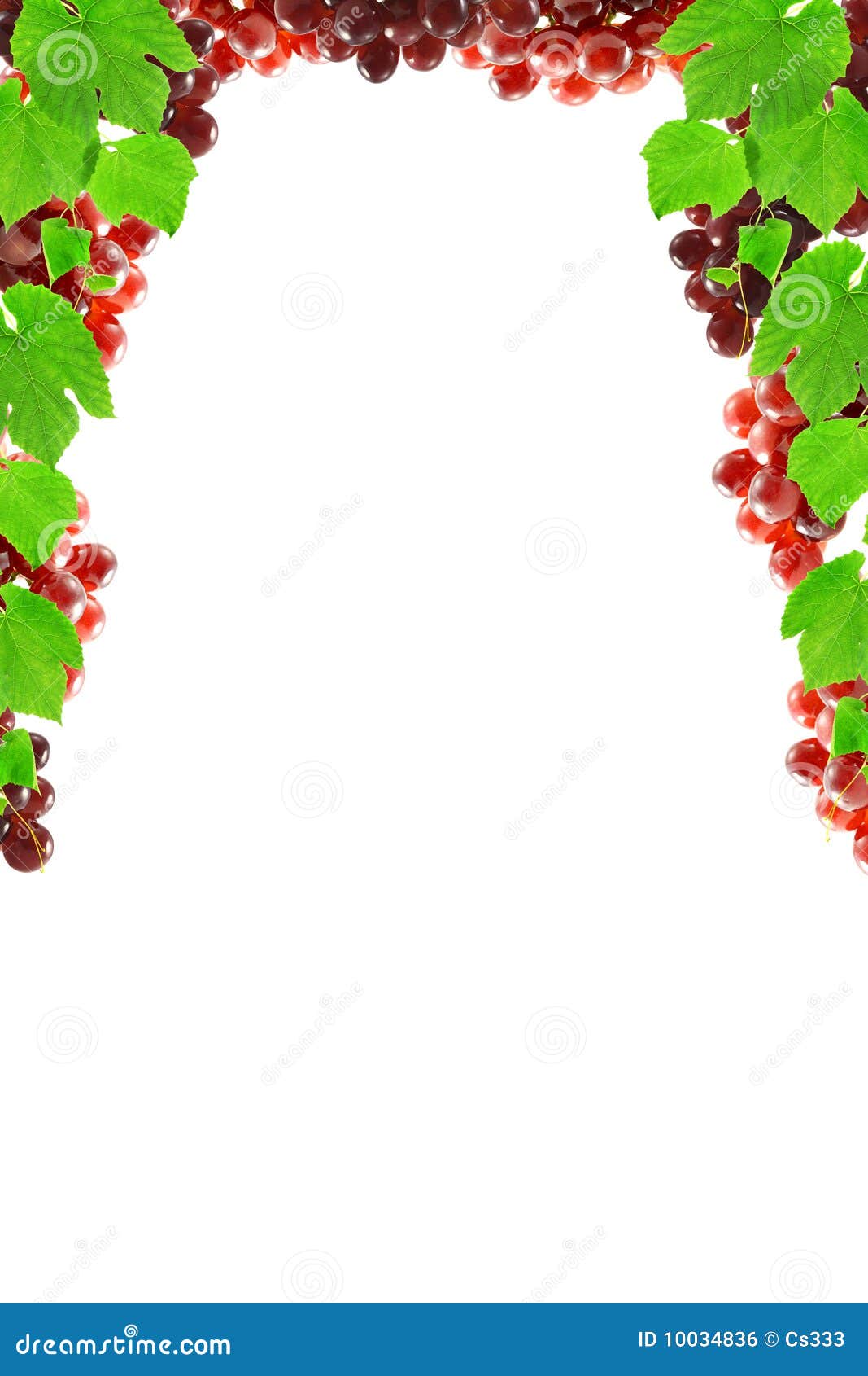 Frame from grapes stock photo. Image of food, nature - 10034836