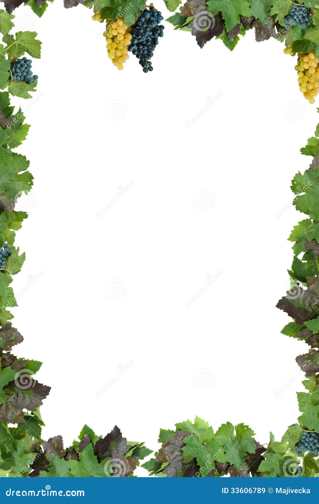 Frame with grapes stock image. Image of farming, grow - 33606789