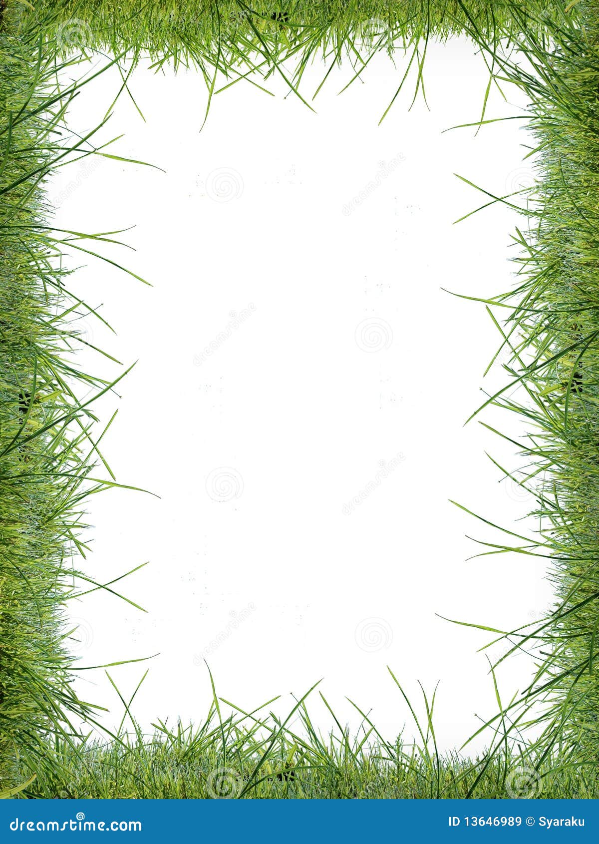 Frame of Grass stock image. Image of leaf, ecology, beauty - 13646989