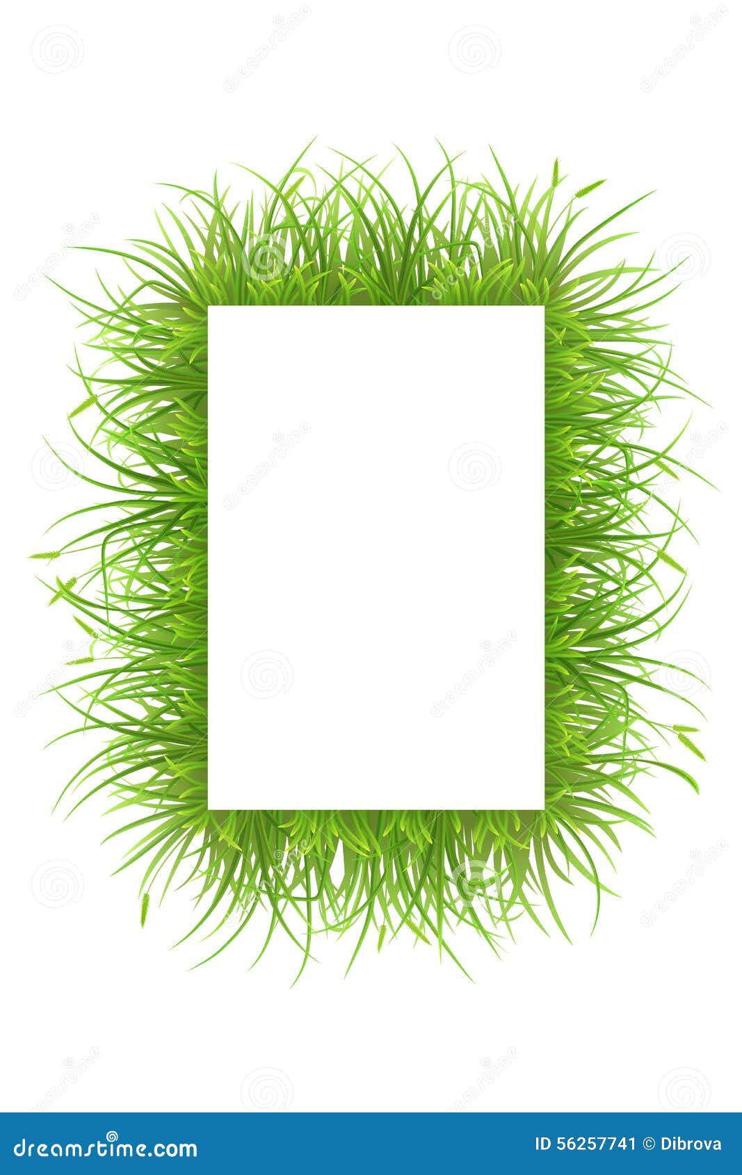 Frame with grass stock vector. Illustration of frame - 56257741