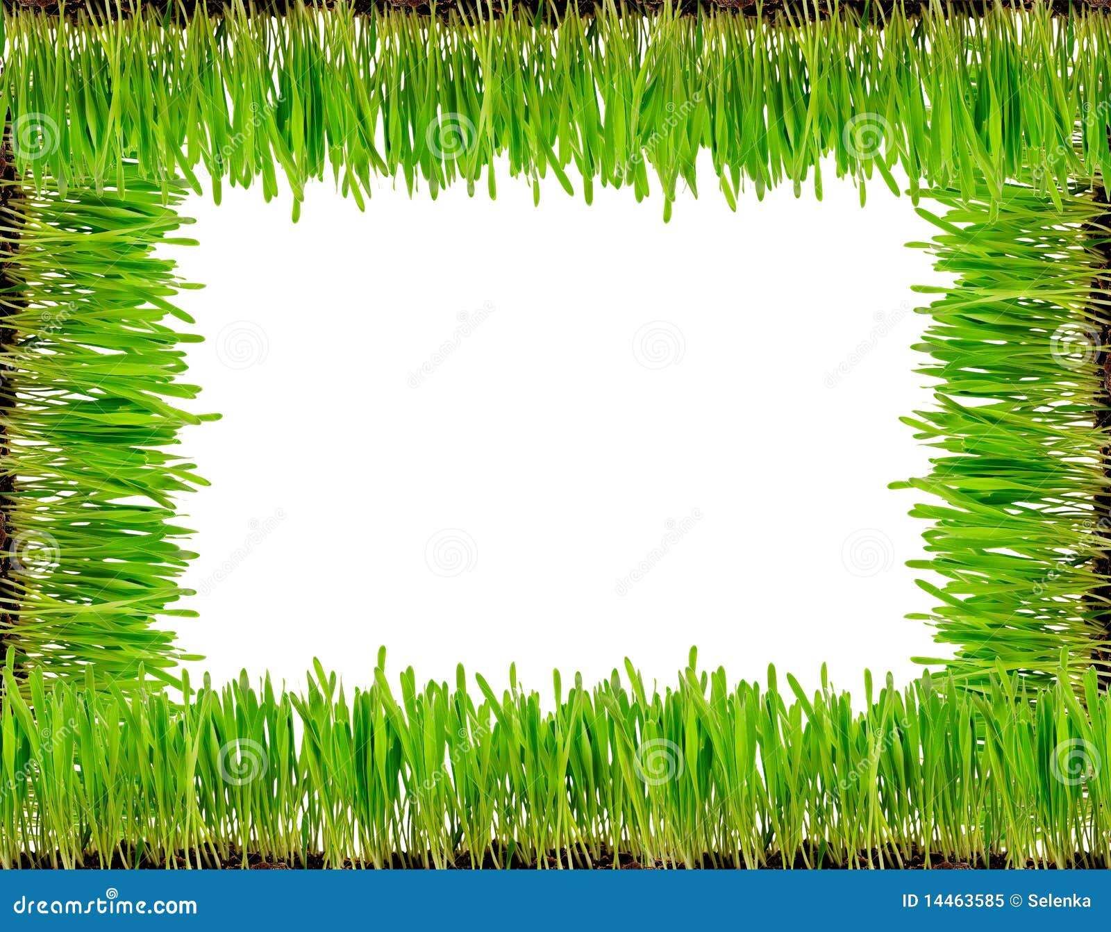 Frame from a green grass stock image. Image of beautiful - 14463585