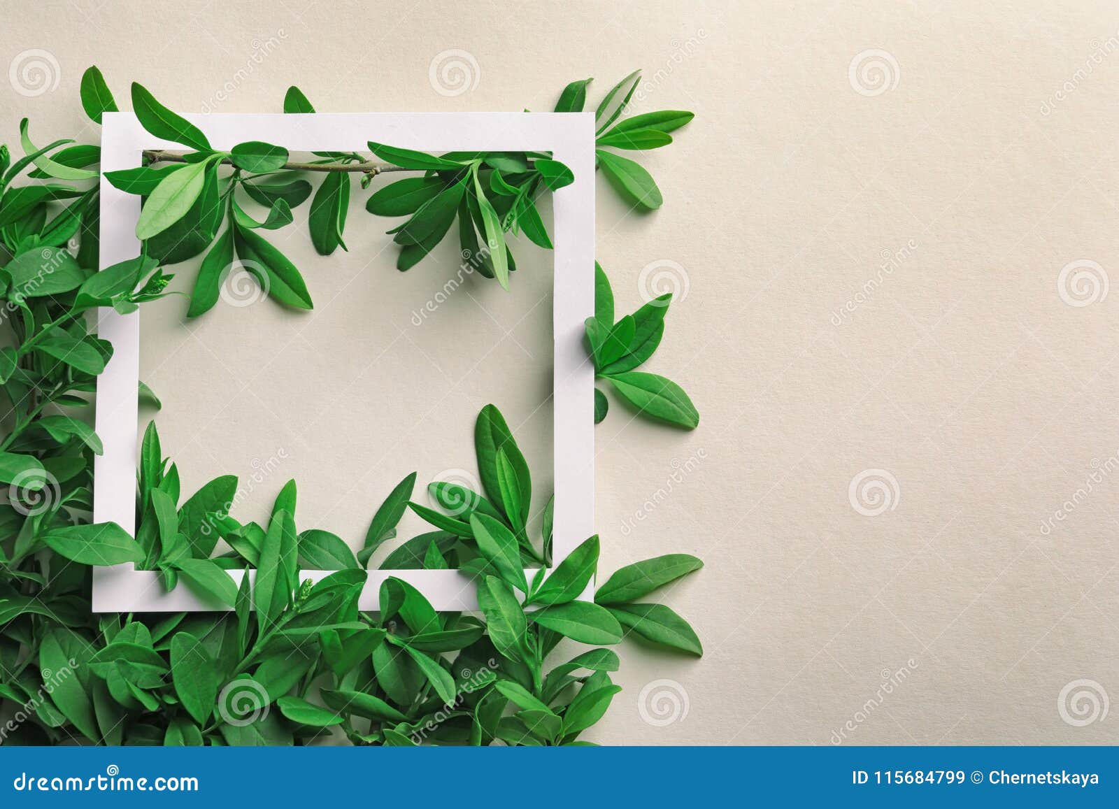 Frame with green leaves stock image. Image of leaves - 115684799