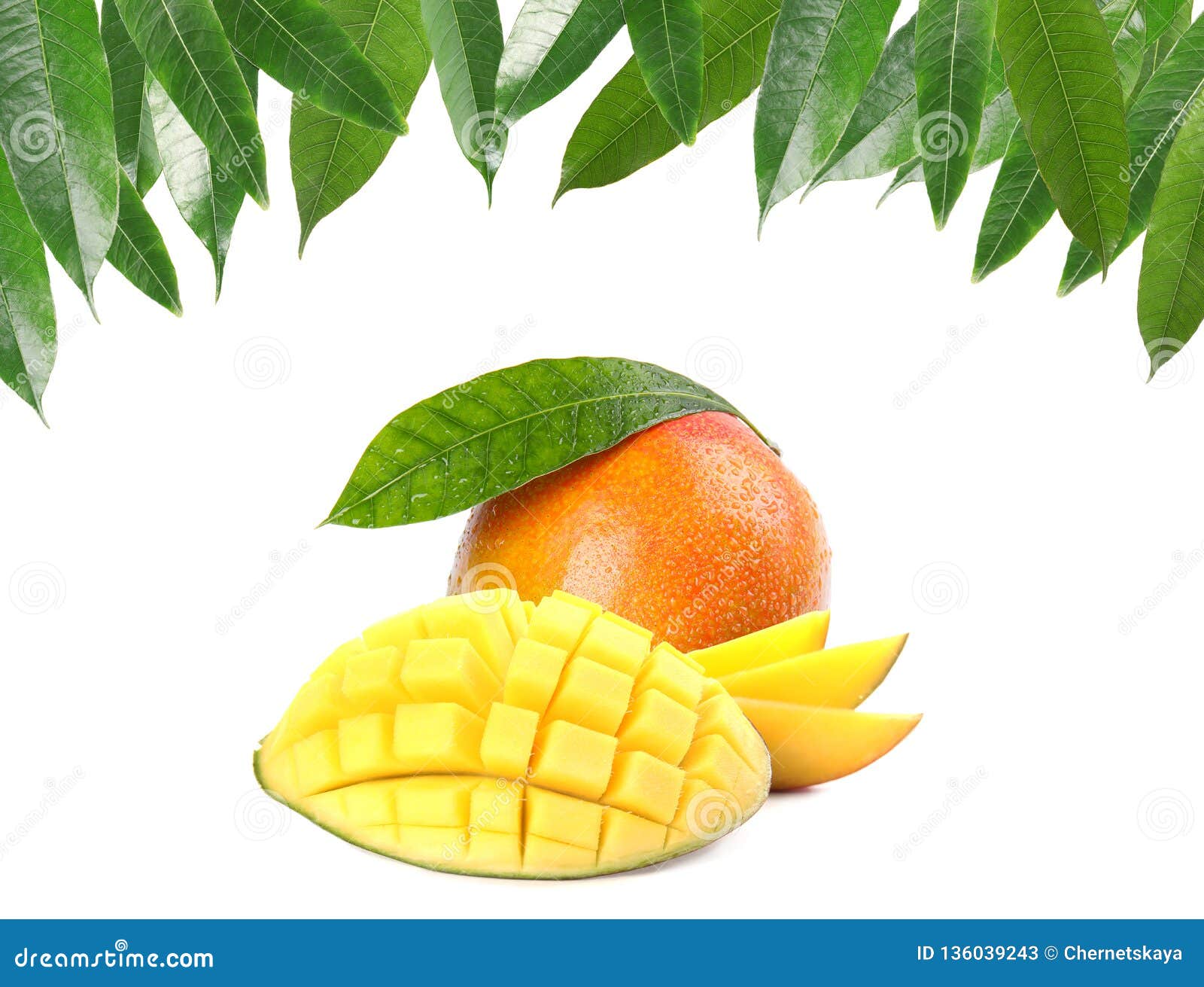 Frame of Green Leaves and Mango Fruits Stock Image - Image of fruits ...