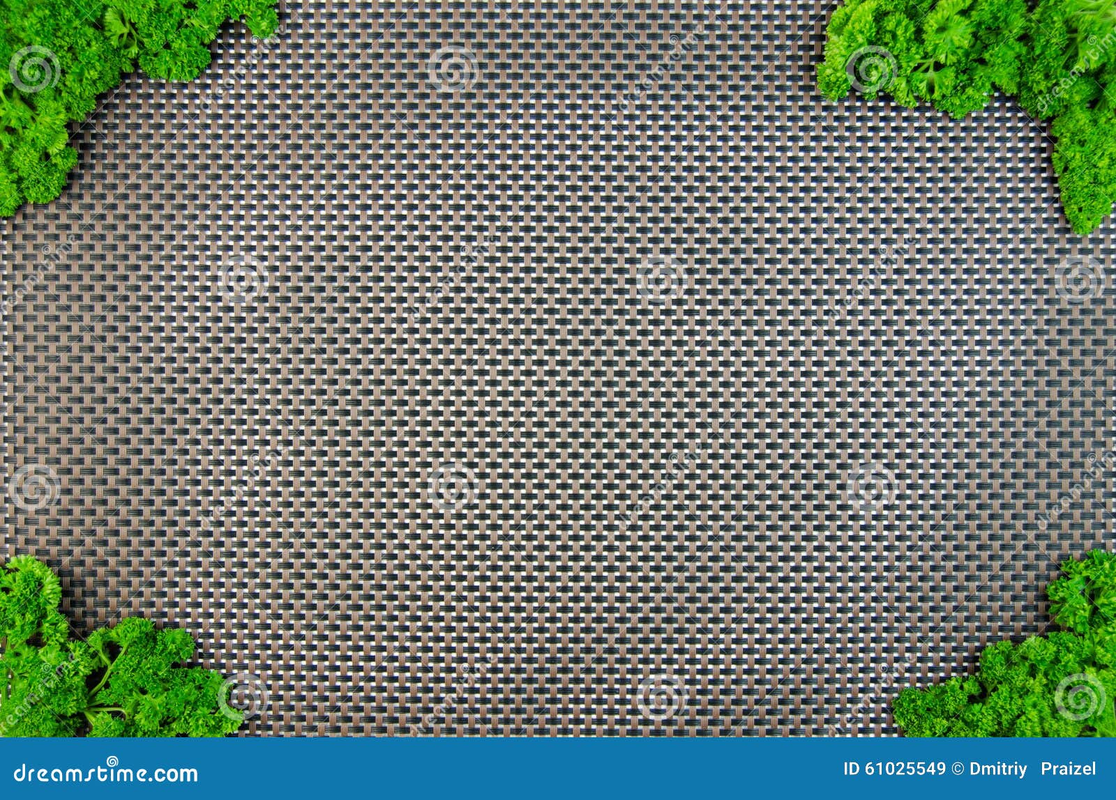 Frame of greenery stock image. Image of pattern, groundcover - 61025549