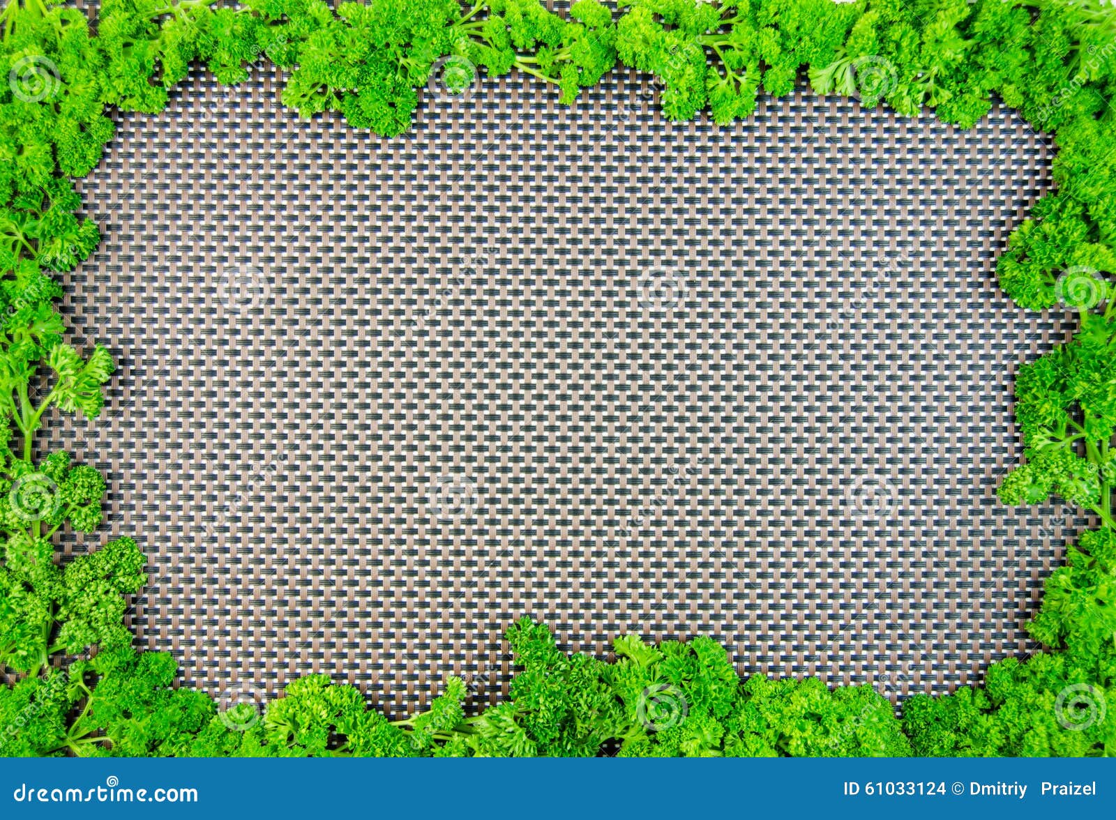 Frame of greenery stock photo. Image of groundcover, tree - 61033124