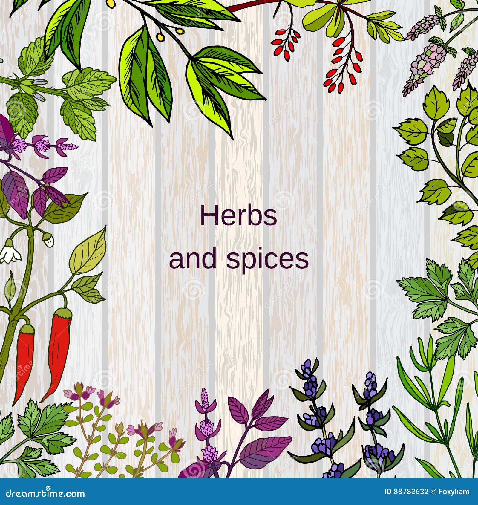 Frame with Hand Drawn Culinary Herbs and Spices Stock Vector ...