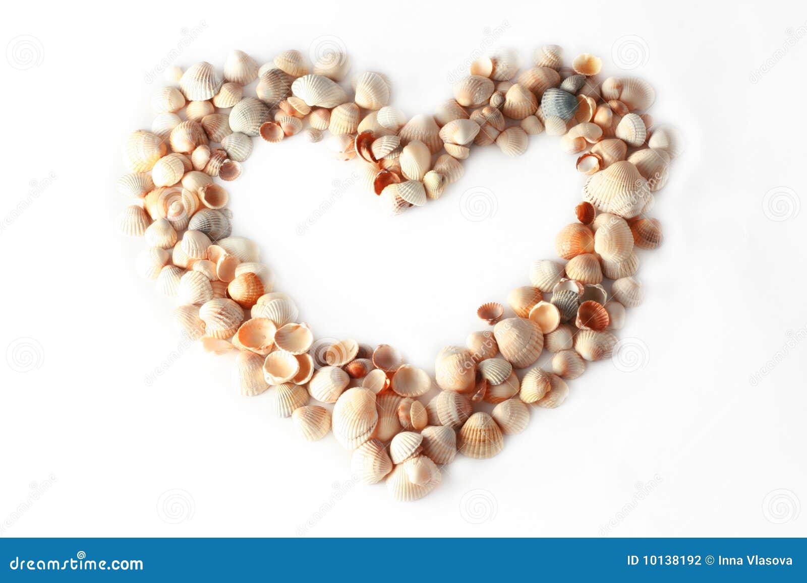 Frame heart of sea shells stock photo. Image of holiday - 10138192