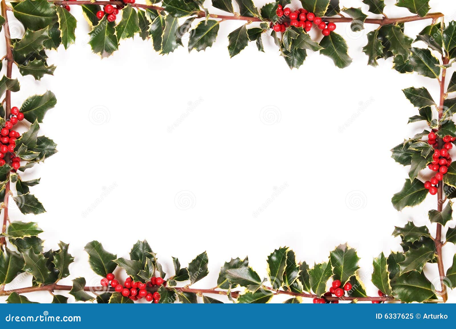 Frame of holly stock image. Image of decoration, winter - 6337625