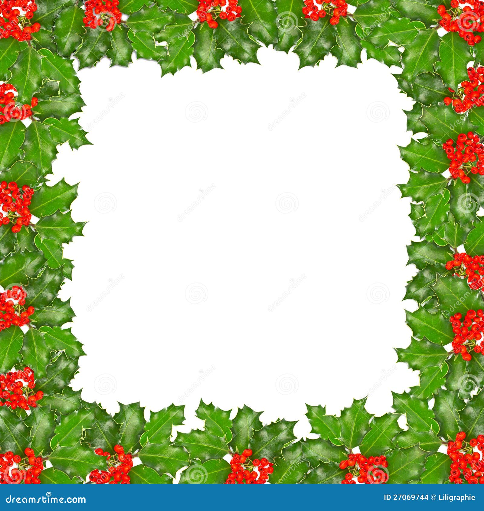 517 Thorny Frame Stock Photos - Free & Royalty-Free Stock Photos from ...