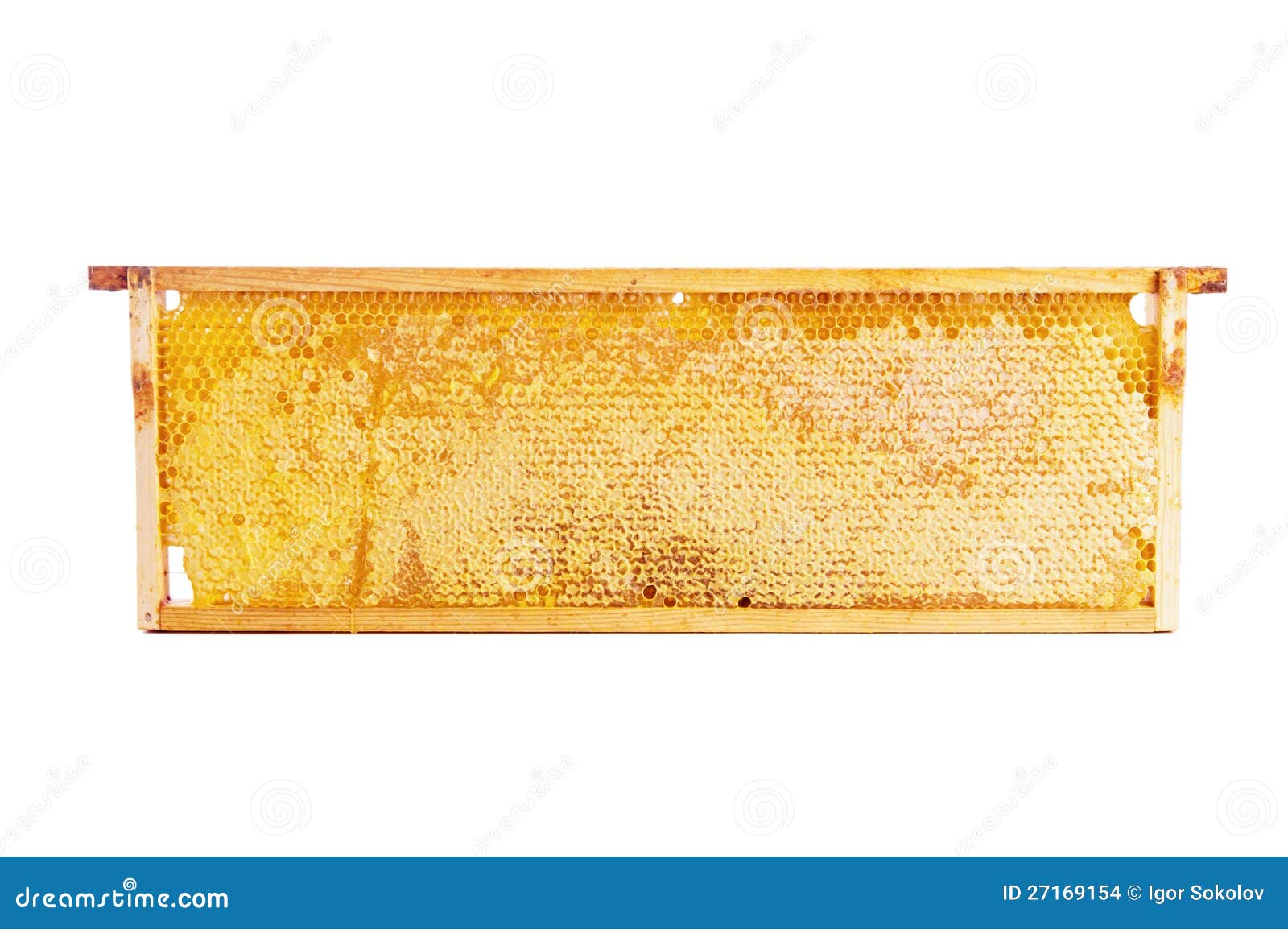 Frame with Honeycomb Full of Honey Stock Photo - Image of brown ...