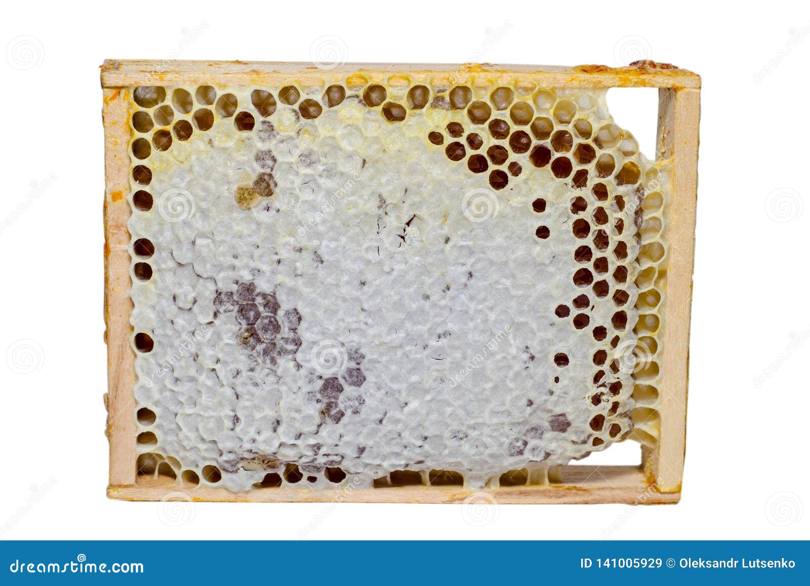 Frame Honeycomb Full of Honey Stock Image - Image of golden, design ...