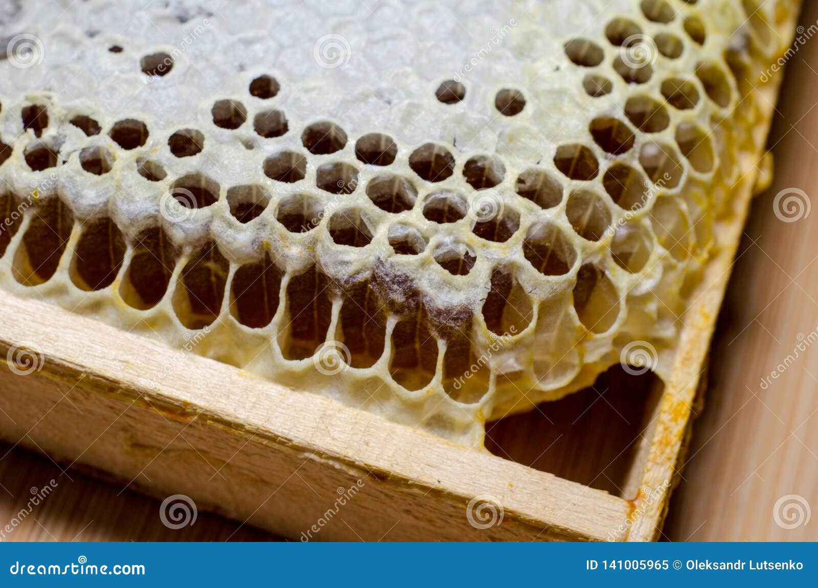 Frame Honeycomb Full of Honey Stock Image - Image of closeup, macro ...