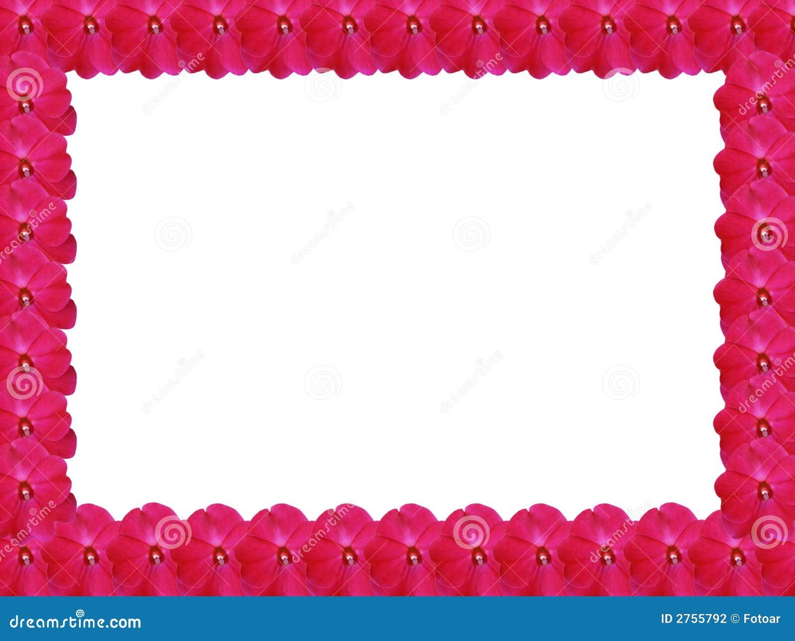 Frame from Impatiens Flowers Stock Illustration - Illustration of ...