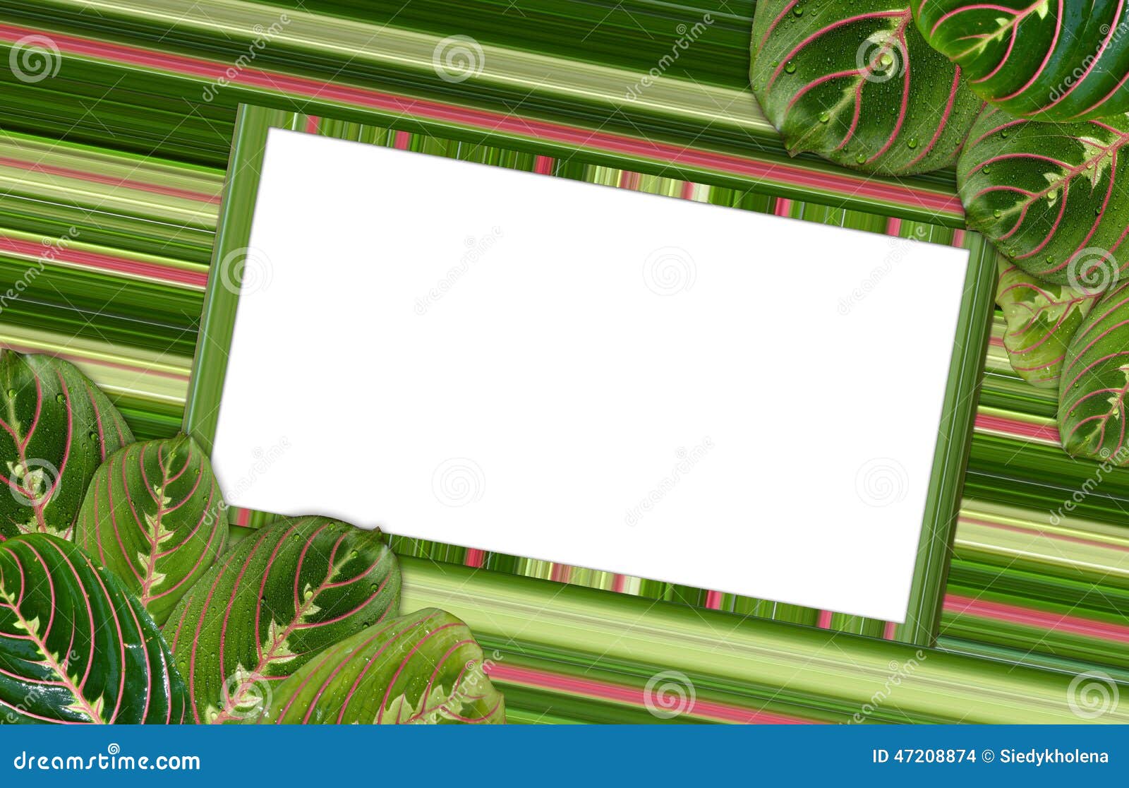 Frame for Inscriptions Surrounded by Leaves Stock Illustration ...