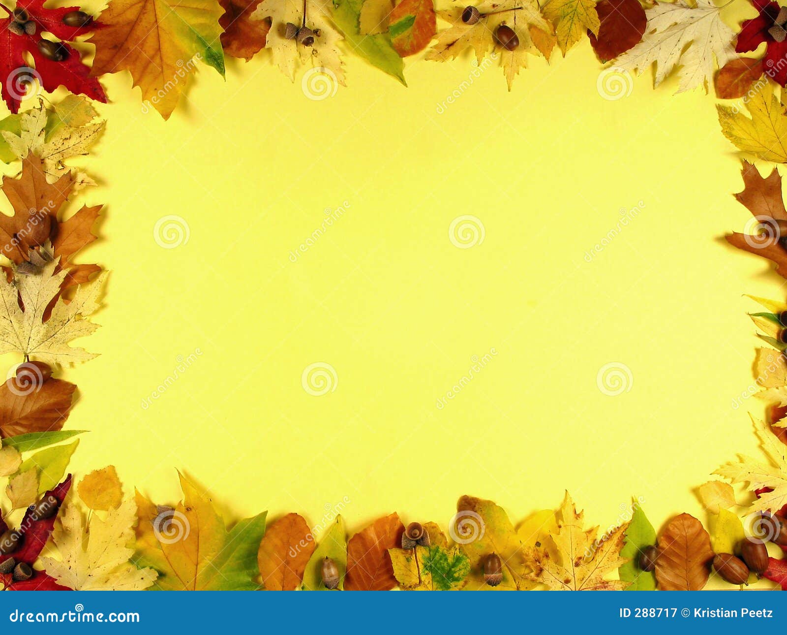 Frame of leafs II stock image. Image of green, yellow, fall - 288717