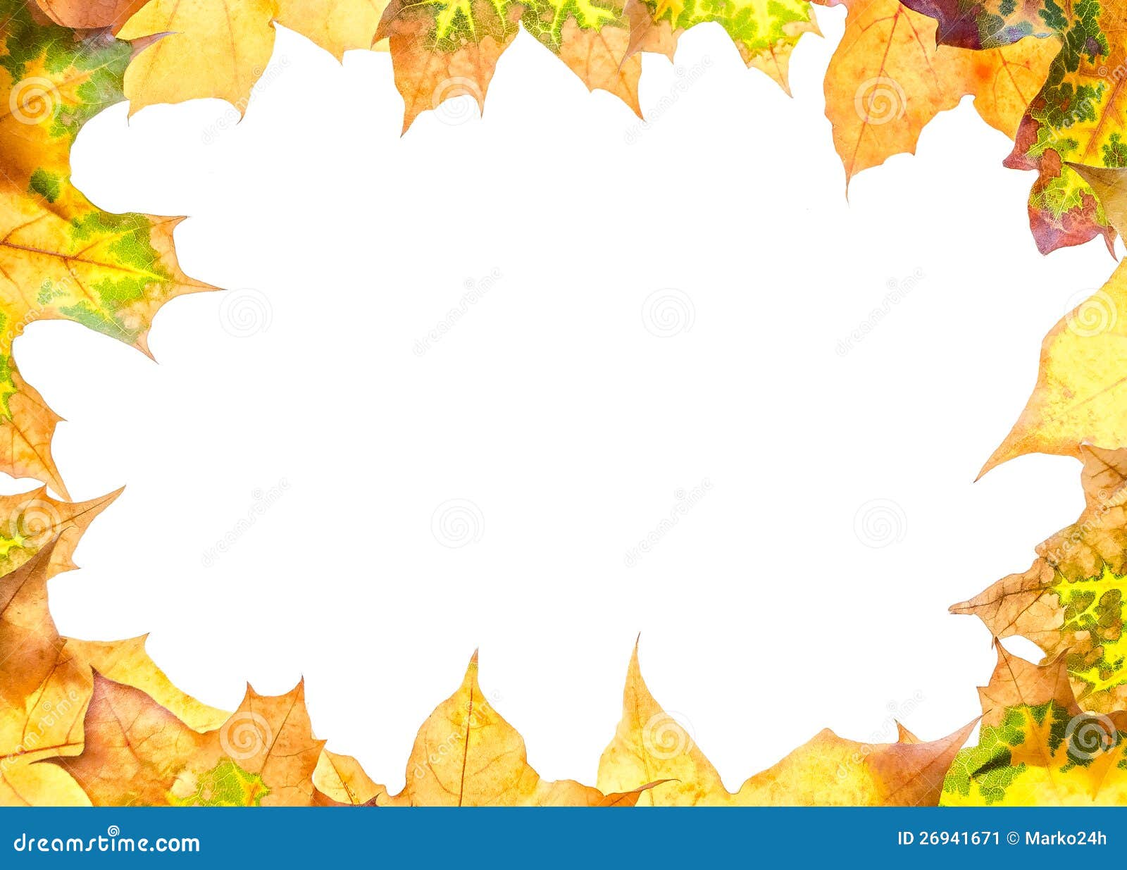 Frame with leaves stock image. Image of details, leaves - 26941671