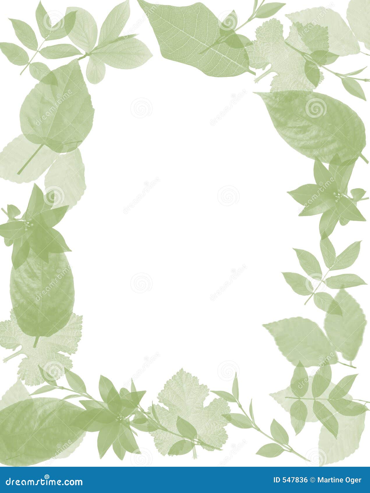 Frame leaves stock illustration. Illustration of leafy - 547836