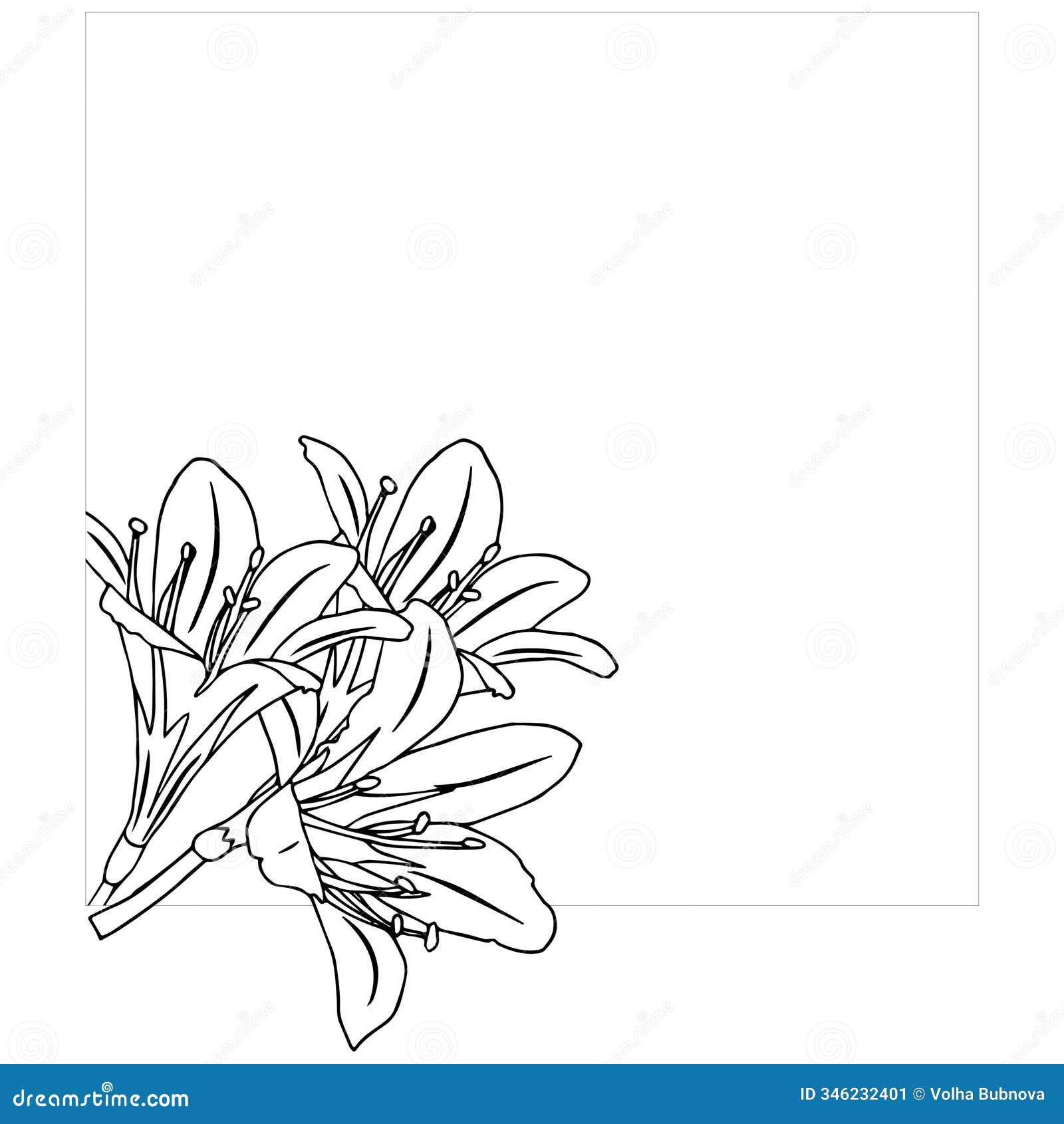 Frame with Lilies in Doodle Style. Element for Your Design. Vector ...